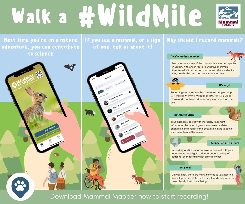 Mammal Mapper app — Mammal Society