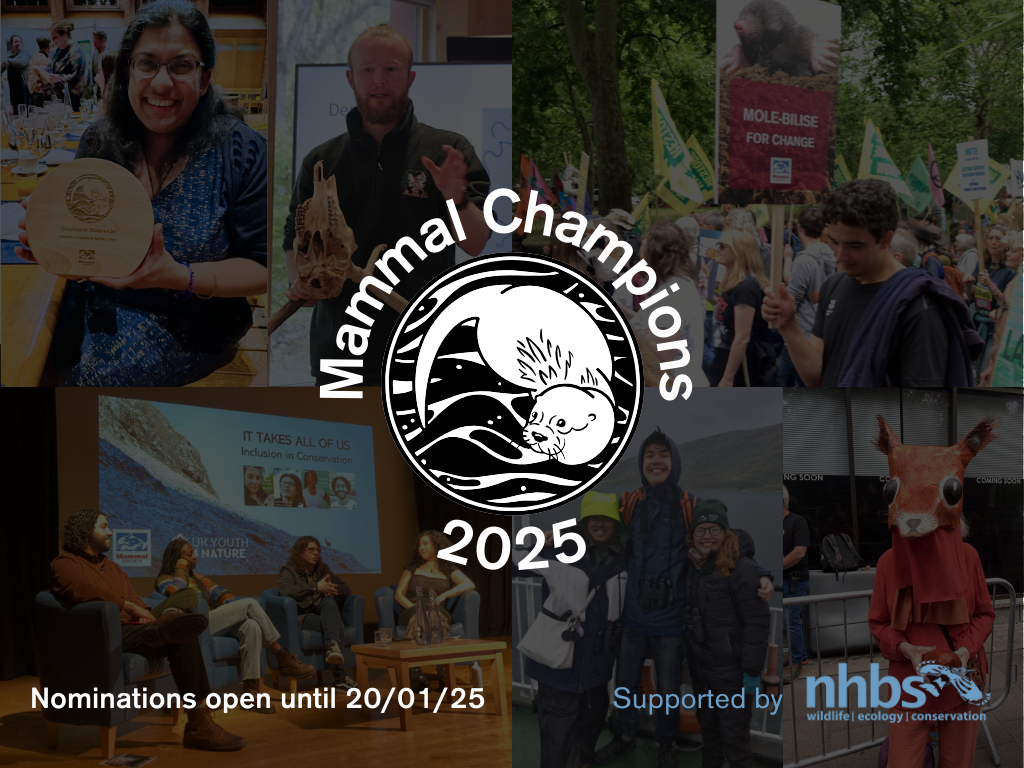 Blog — Mammal Society