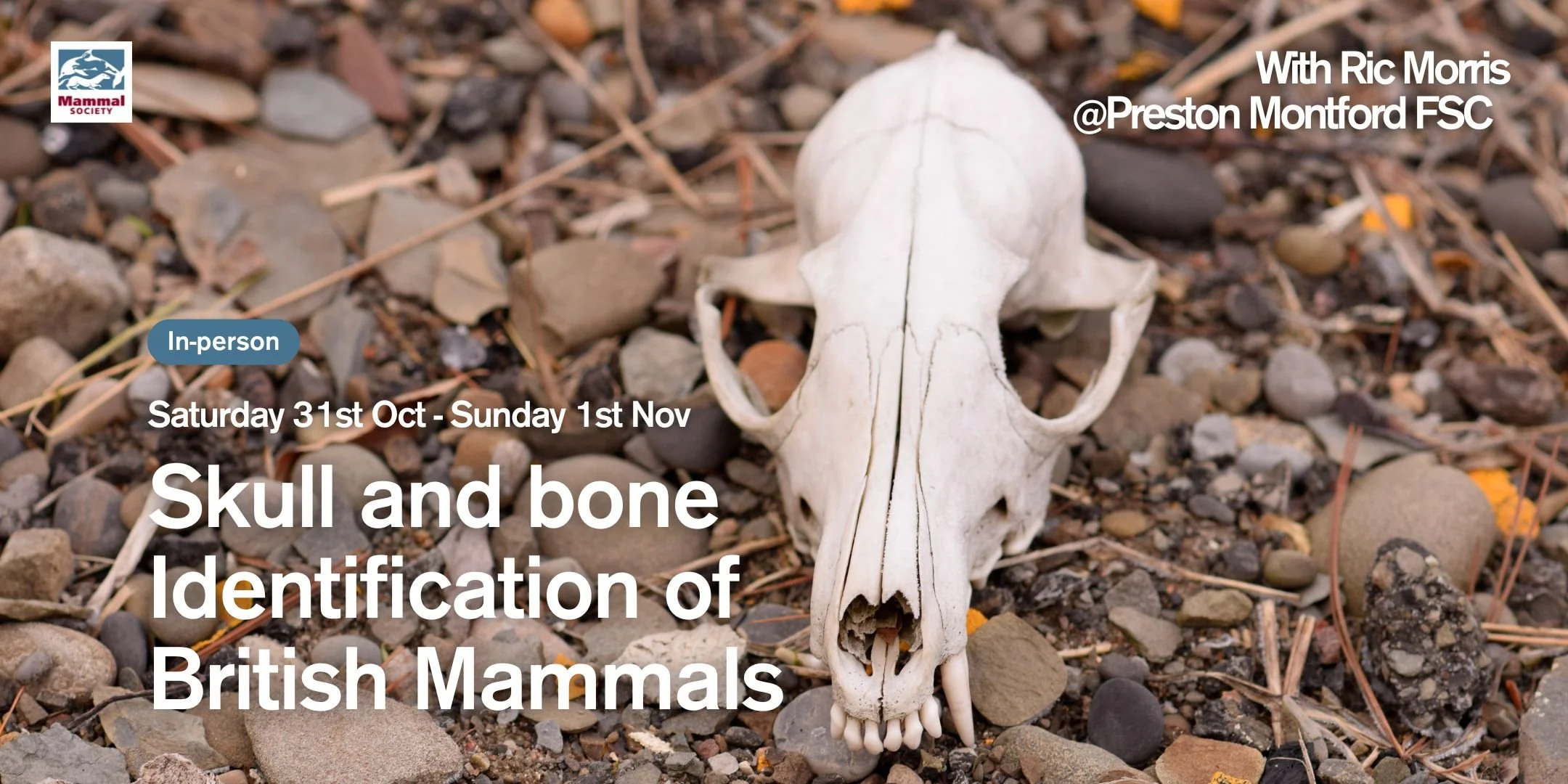 Skull and Bone Identification of British Mammals (2-day course ...