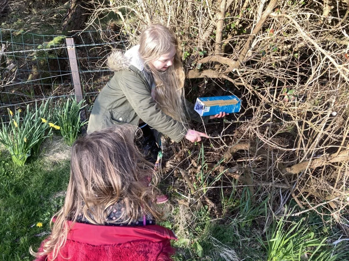 Mammal monitoring methods: Footprint tunnels — Mammal Society
