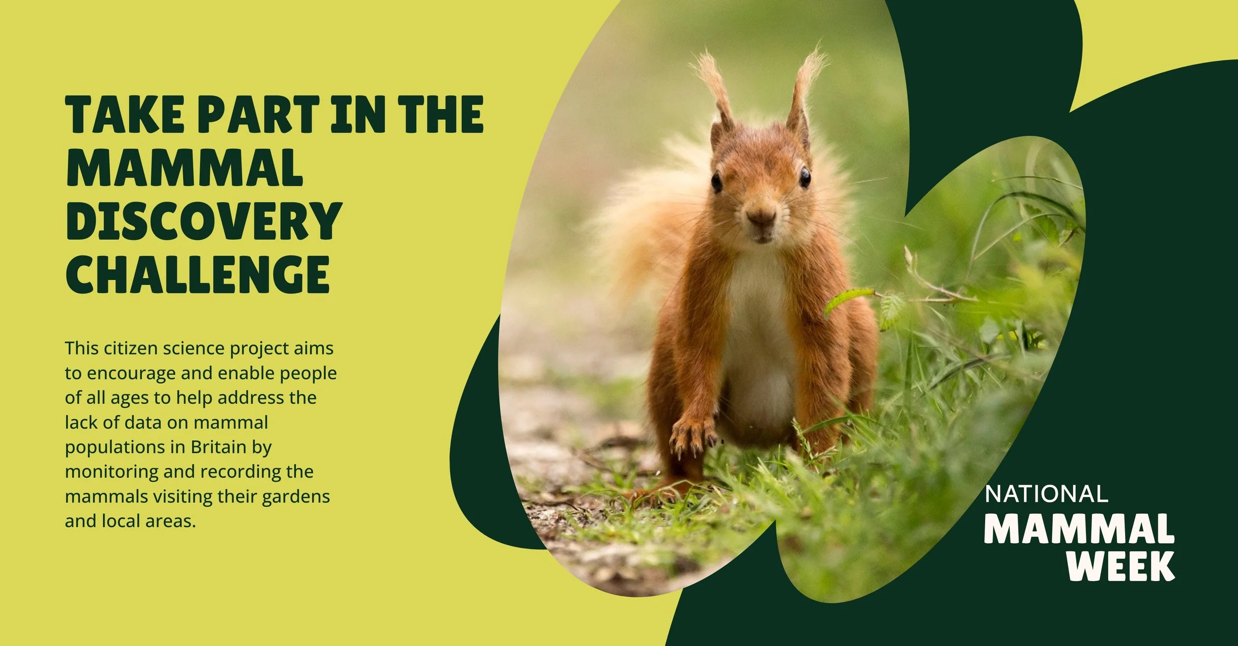 Mammal Discovery Challenge — Mammal Society