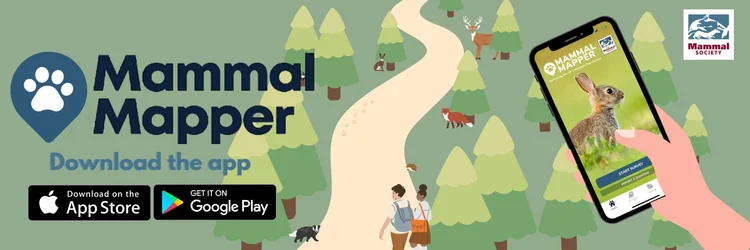Mammal Mapper — Mammal Society