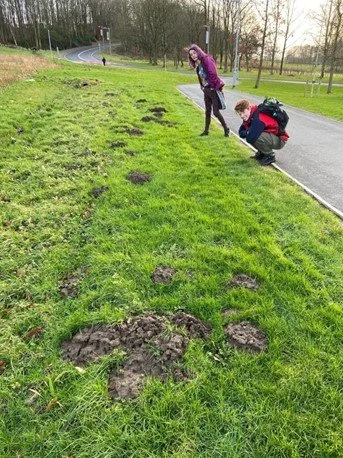 All about Moles… — Mammal Society