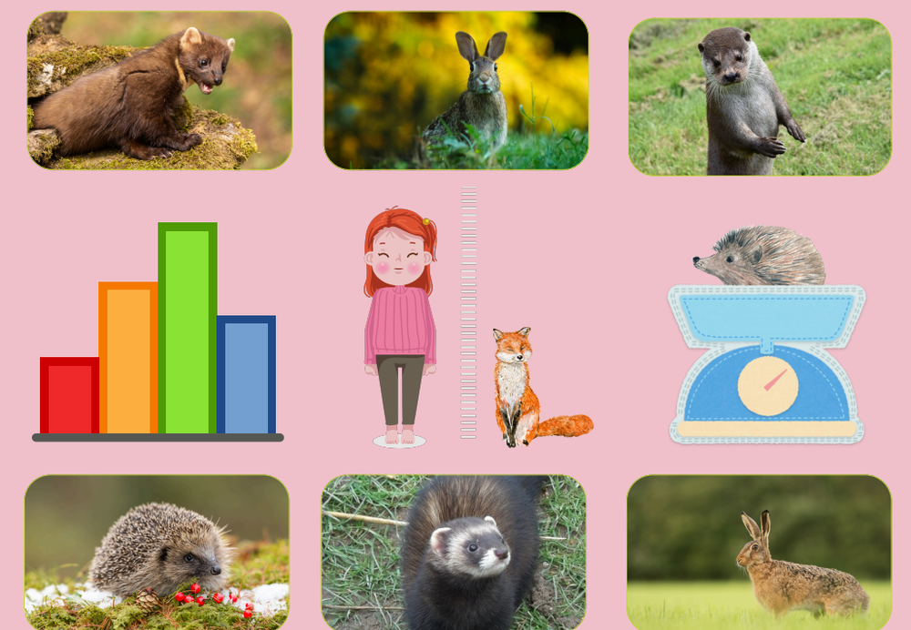 Resource Library — Mammal Society