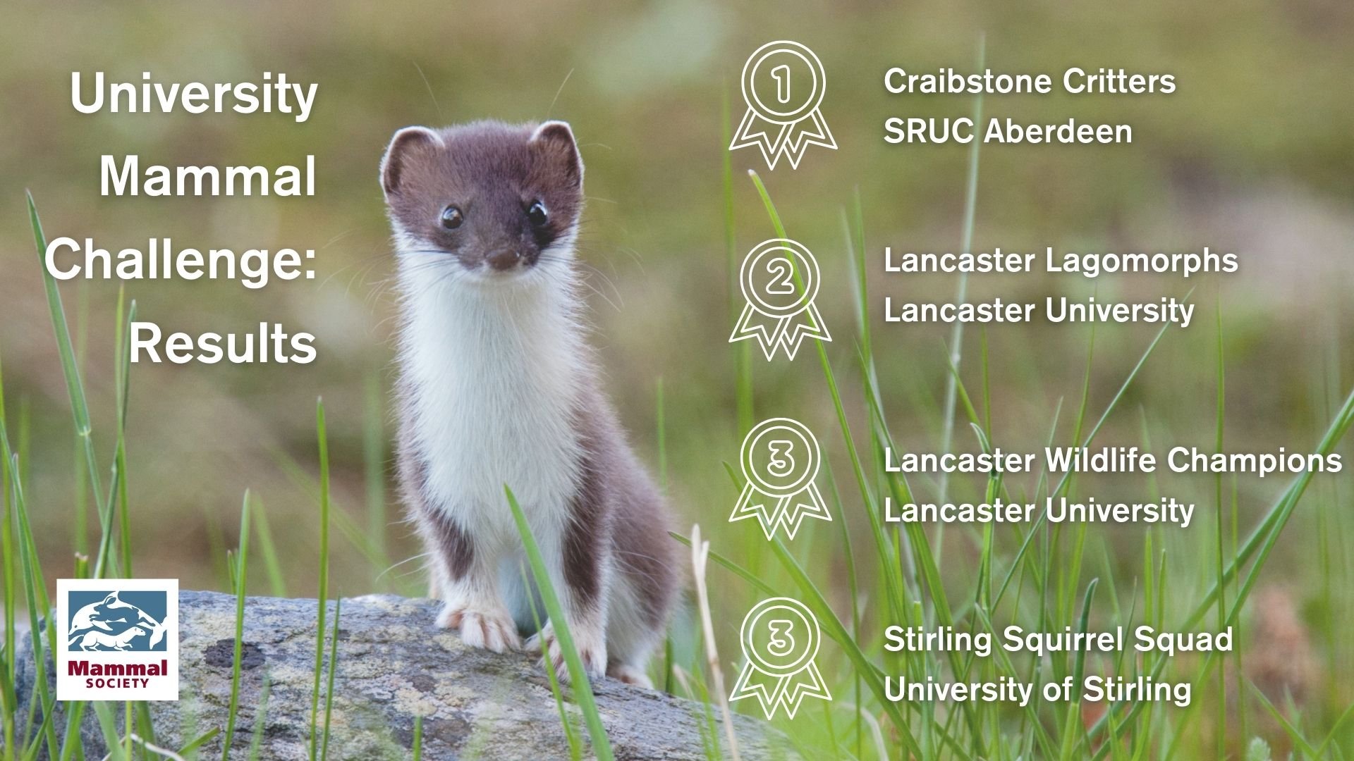 University Mammal Challenge — Mammal Society