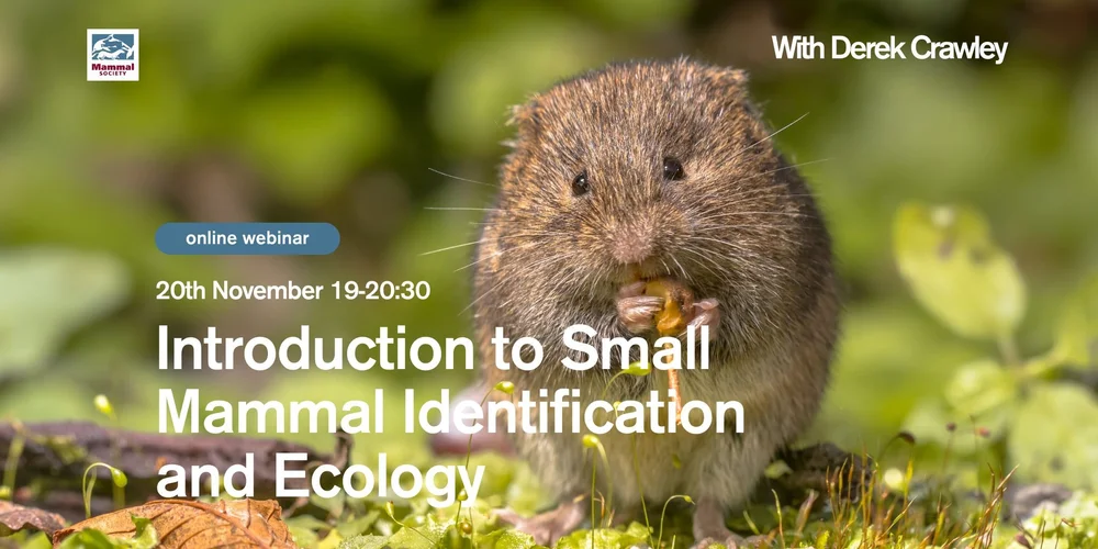 Introduction to Small Mammal Identification and Ecology (Online ...