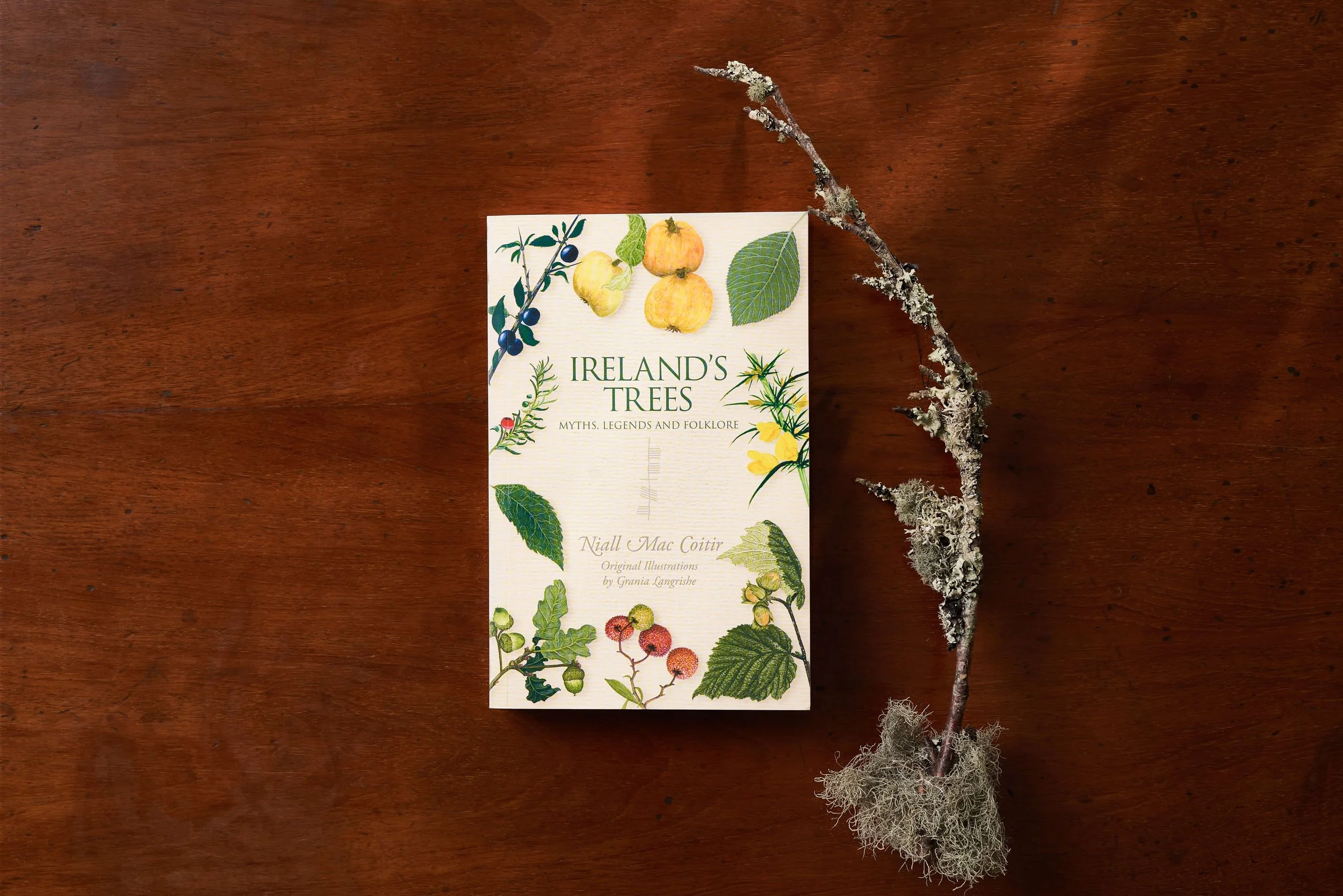 Ireland's Trees — The Flower Press