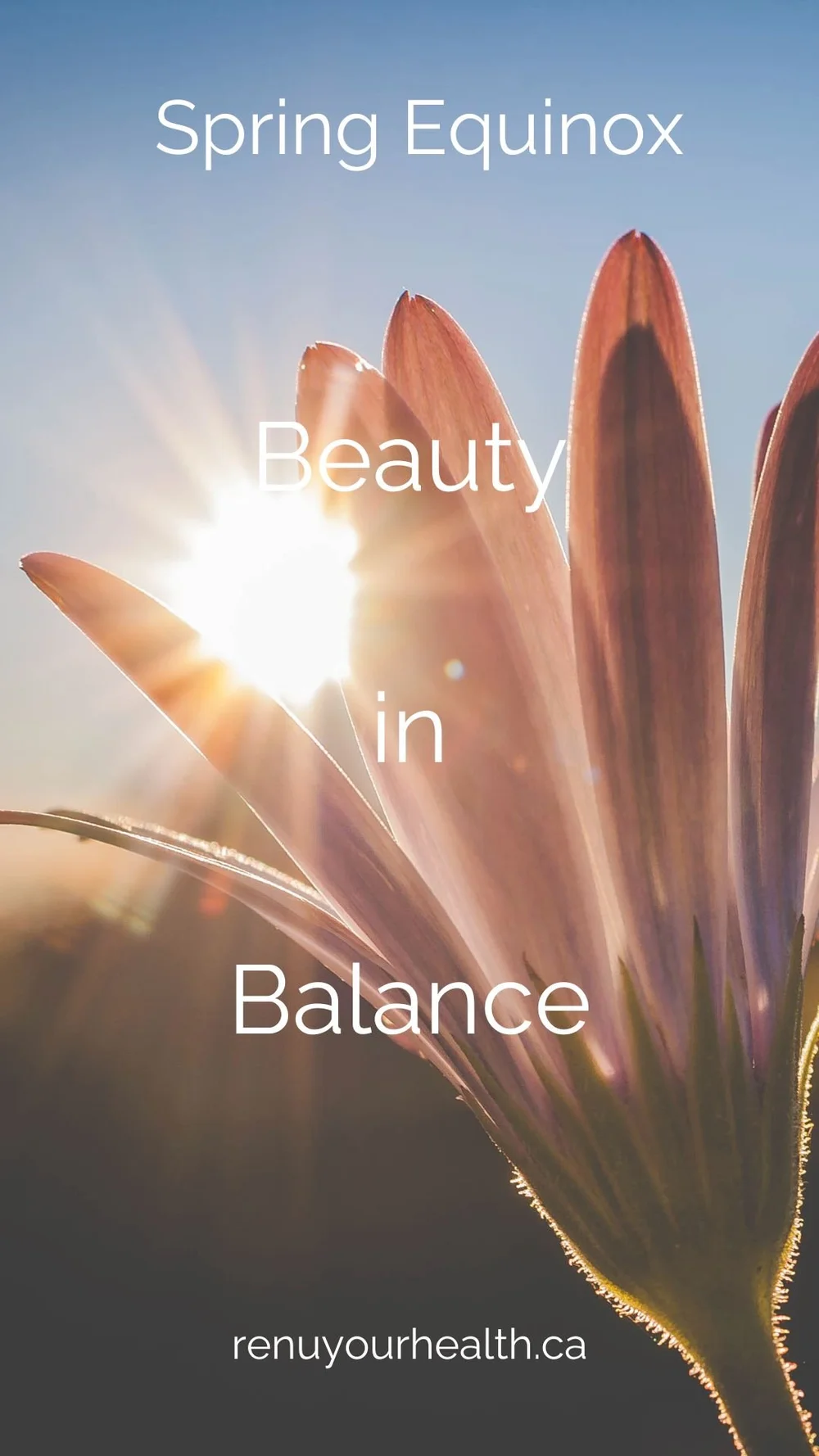 Beauty in Balance: A Poem About Spring Equinox — Renu Health & Wellness