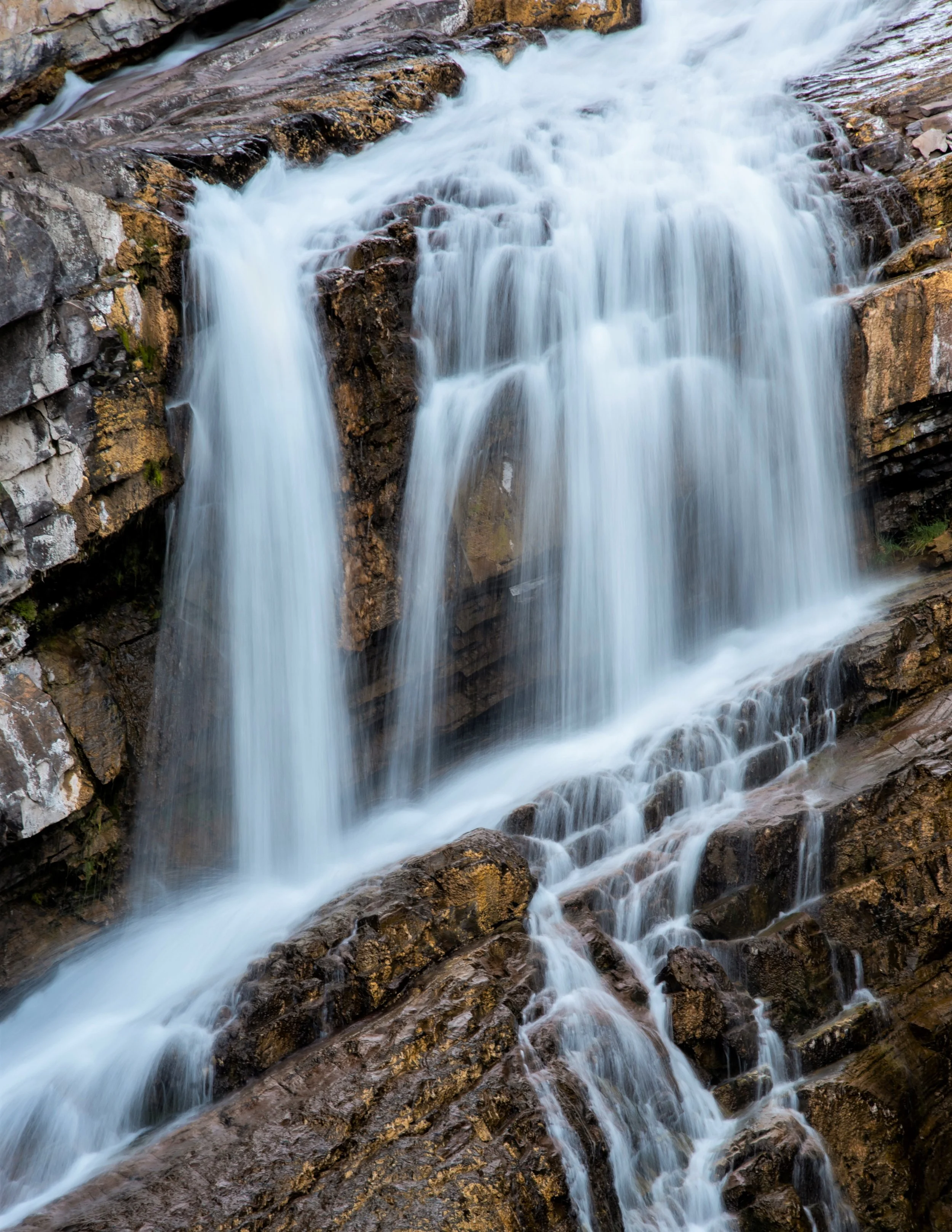 Tracey Halladay Photography | Wandering The Earth With Eyes Wide Open