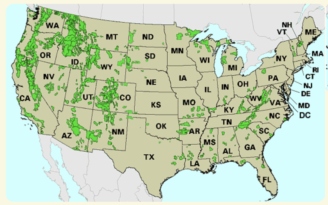 Step by Step Guide to Finding Free Dispersed Camping in the U.S on ...