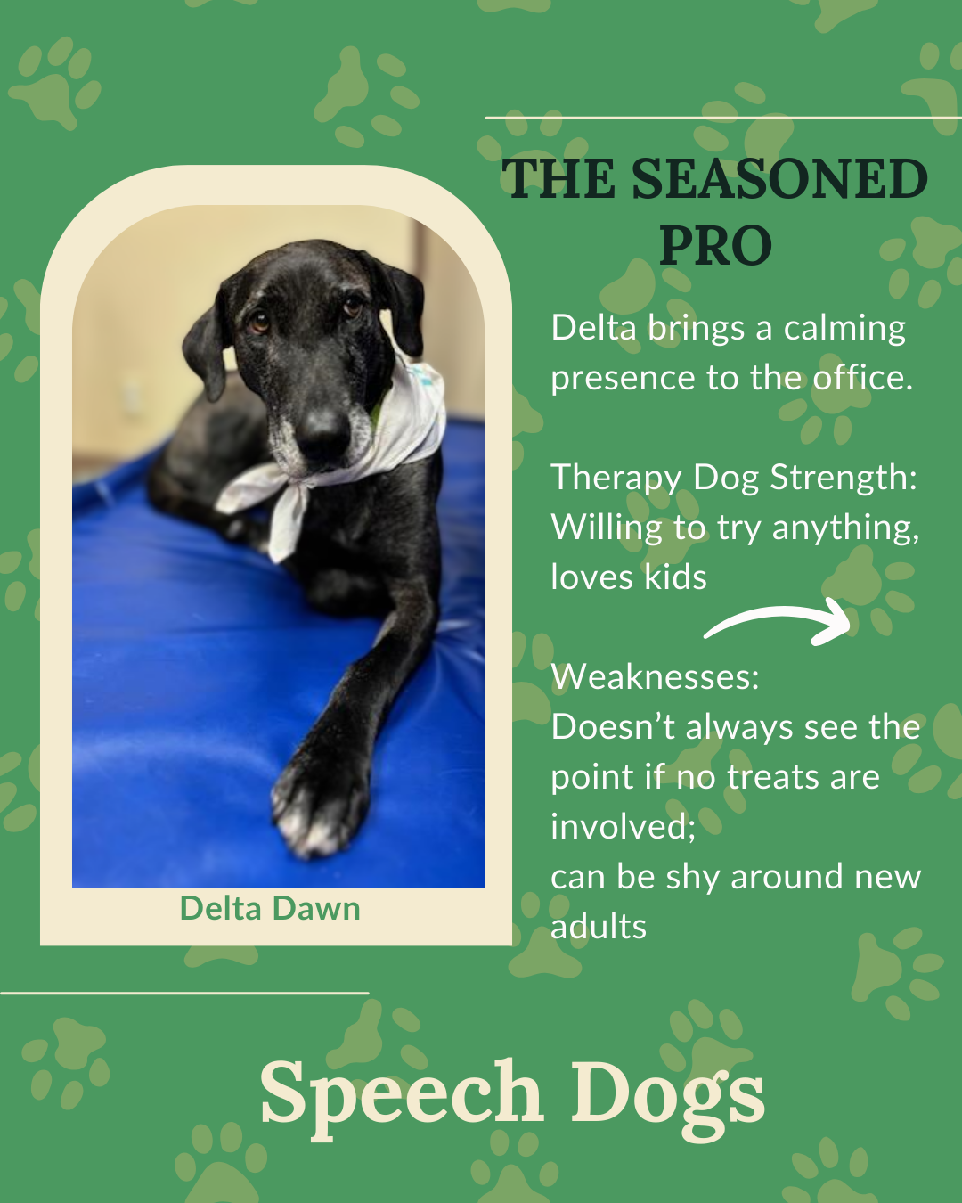 About — Speech Dogs | Animal-Assisted speech therapy — Therapy dog and ...