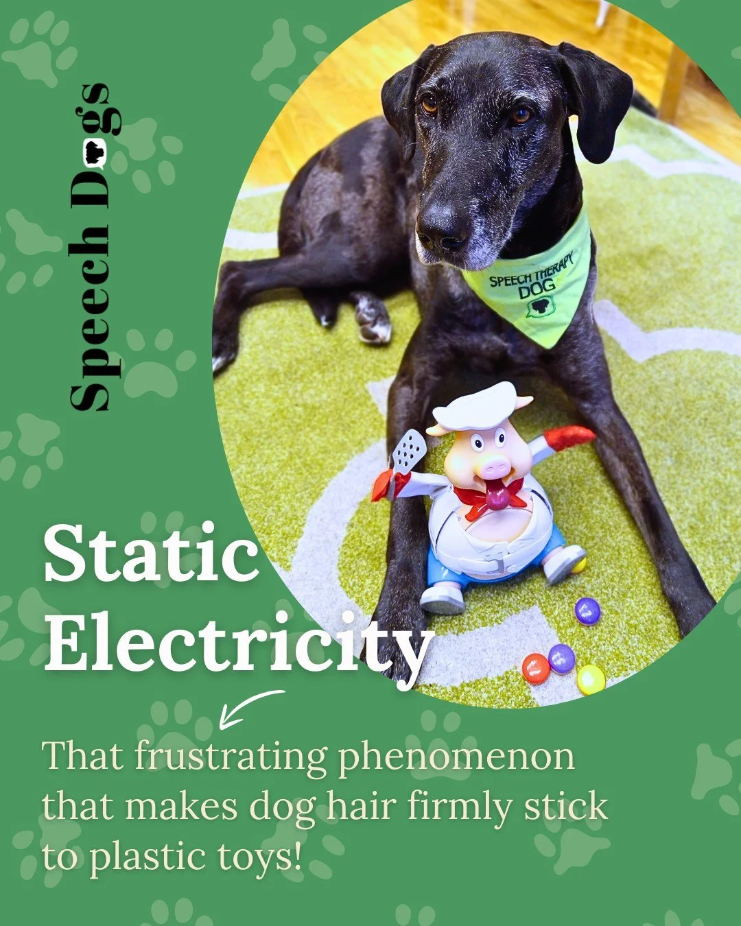 Speech Dogs | Animal-Assisted speech therapy | Education & Resources