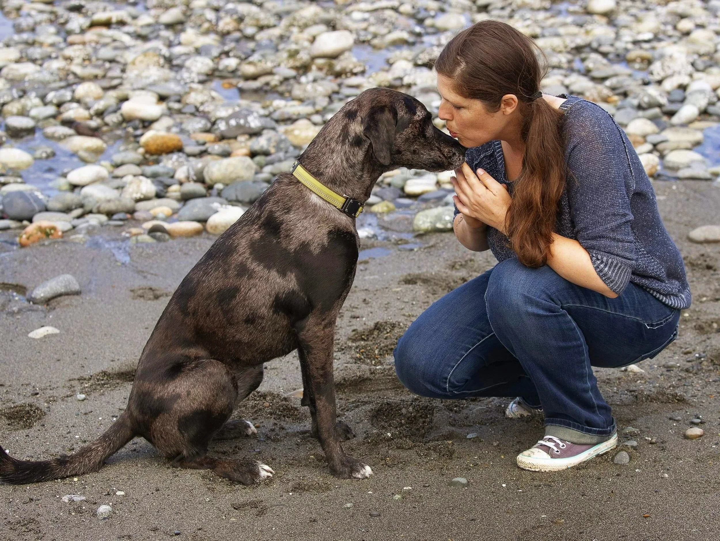 About — Speech Dogs | Animal-Assisted speech therapy — Therapy dog and ...