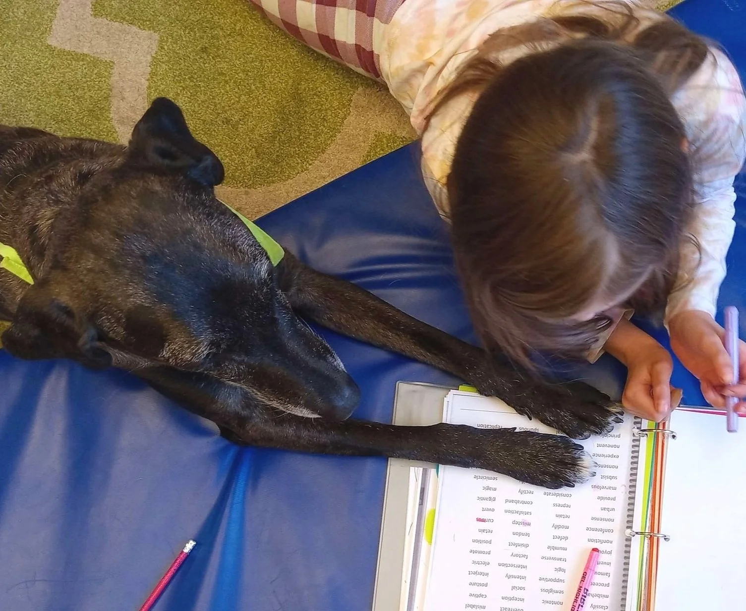 Speech Dogs | Animal-Assisted speech therapy resources