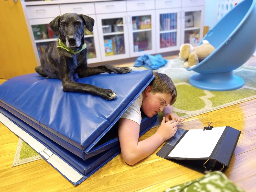 Speech Dogs | Animal-Assisted speech therapy resources