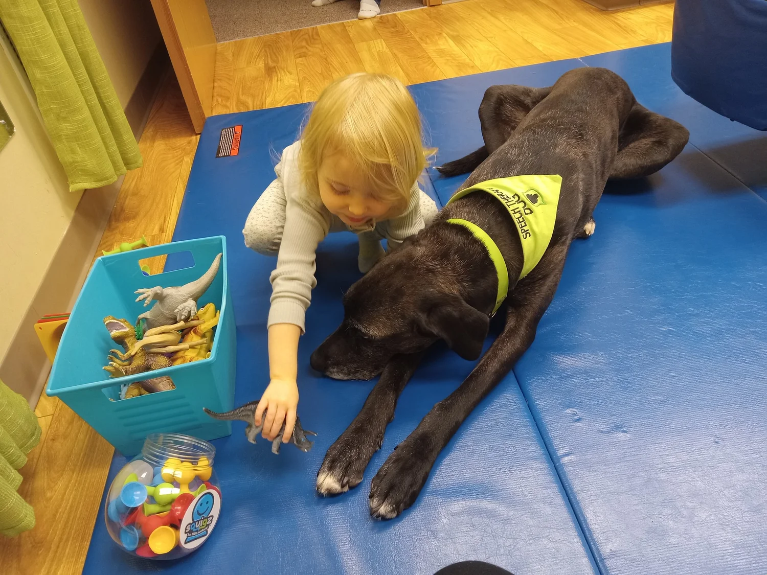 Five Myths About Speech Therapy Dogs — Speech Dogs | Animal-Assisted ...