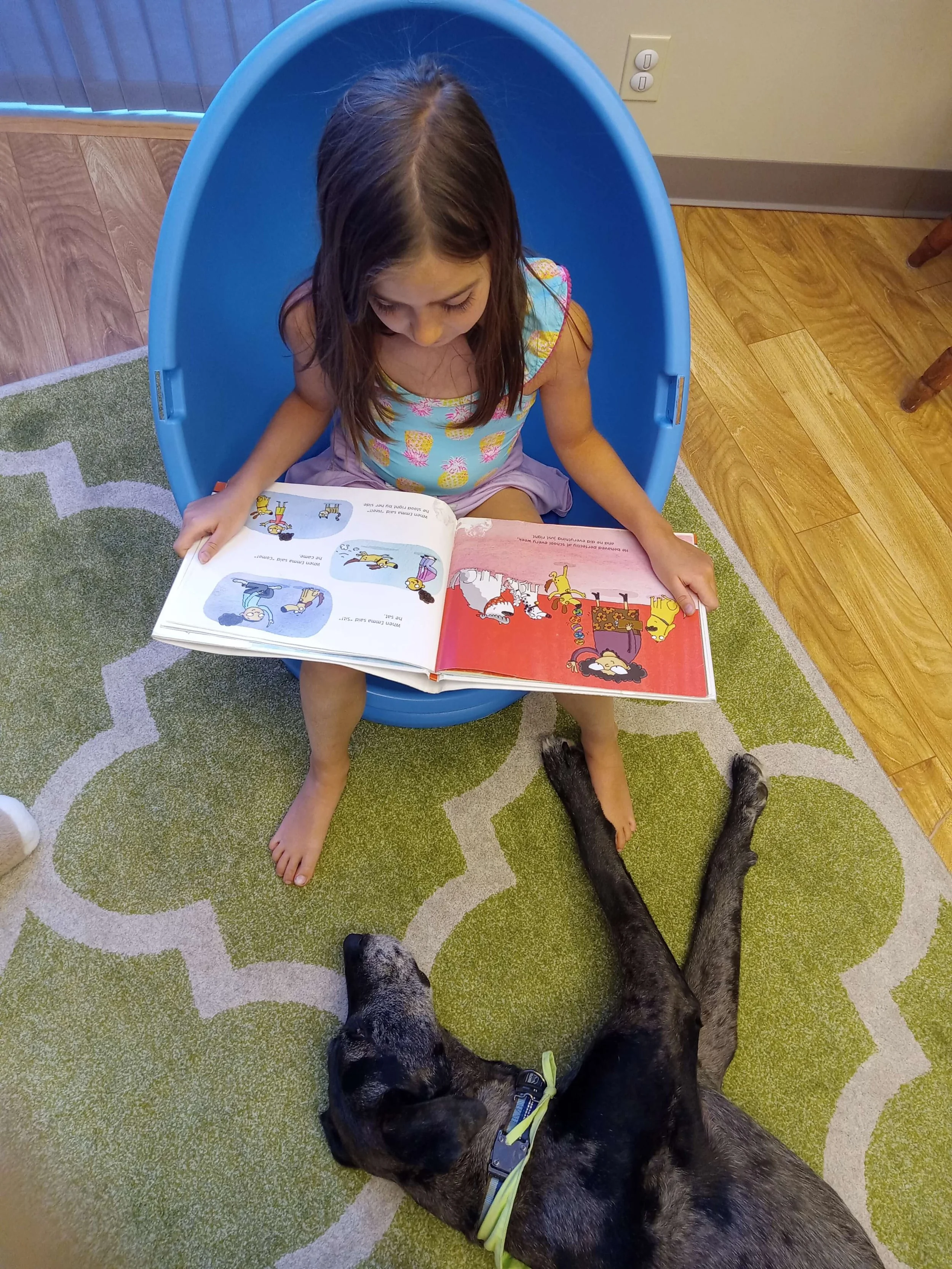 Talk to Paw: Animal-Assisted Therapy Course — Speech Dogs | Animal ...