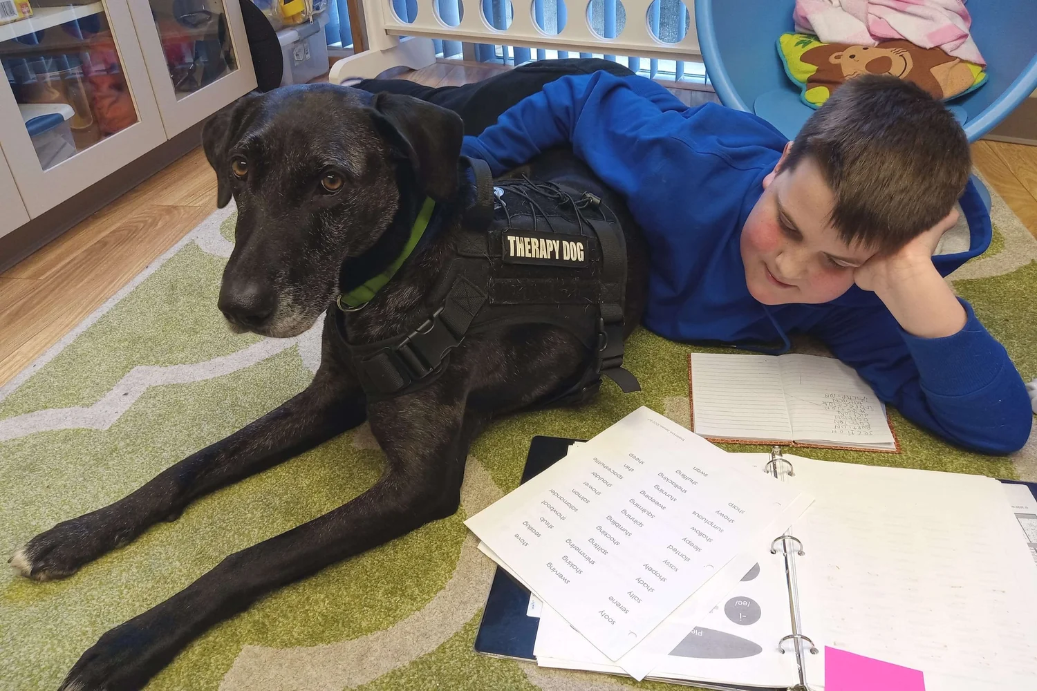 Speech Dogs | Animal-Assisted speech therapy resources