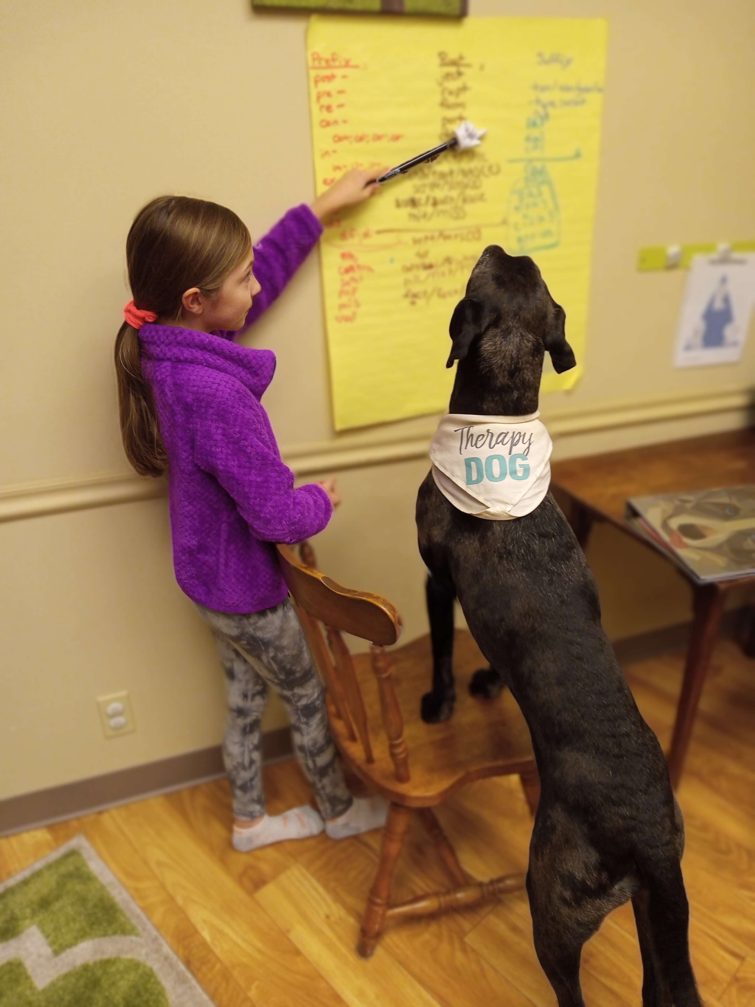 Speech Dogs | Animal-Assisted speech therapy | Education & Resources