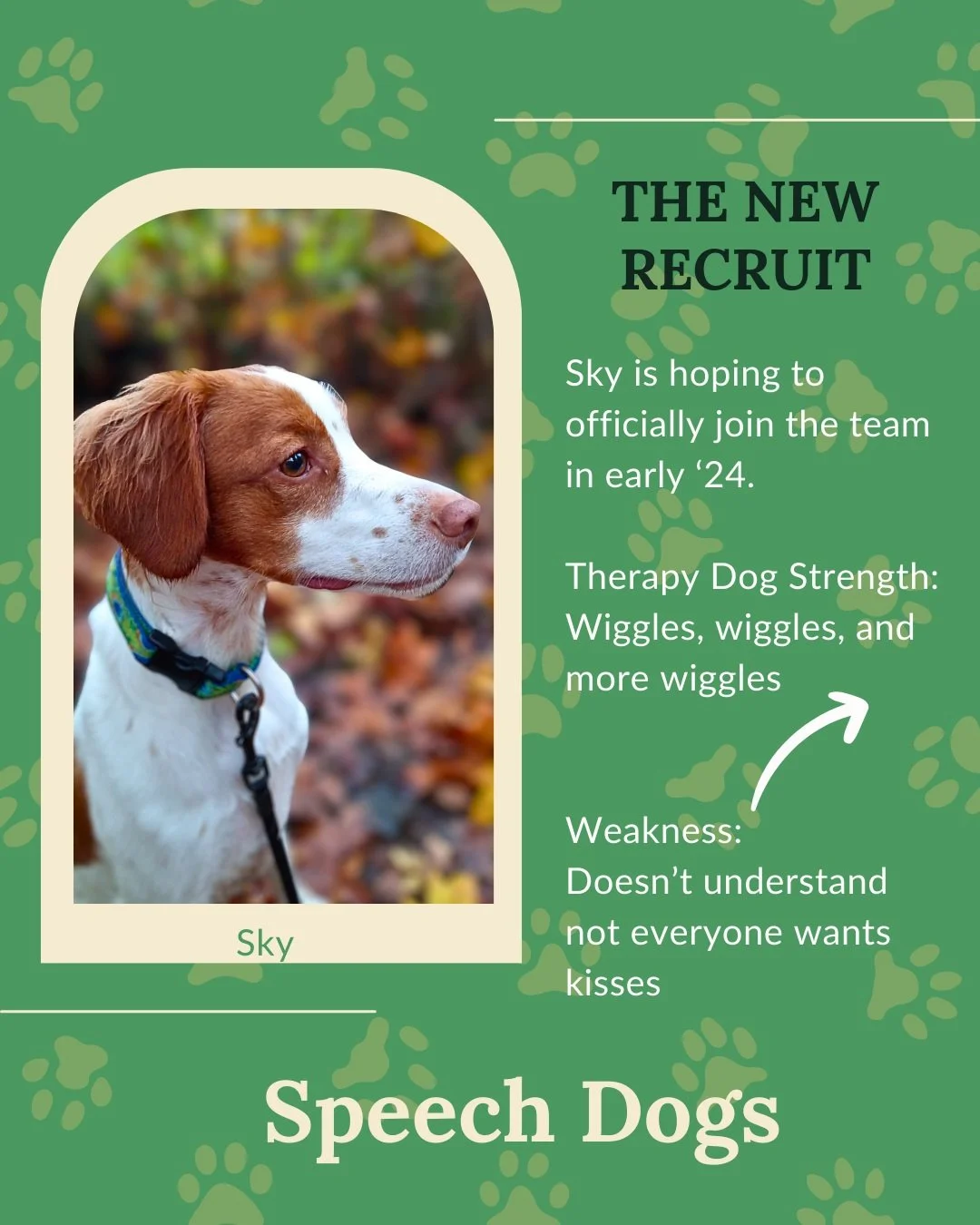 About — Speech Dogs | Animal-Assisted speech therapy — Therapy dog and ...