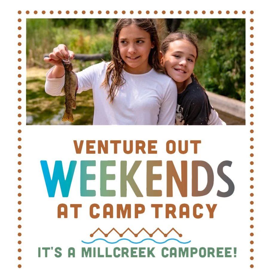 Millcreek Common | Where Millcreek Utah Makes Memories