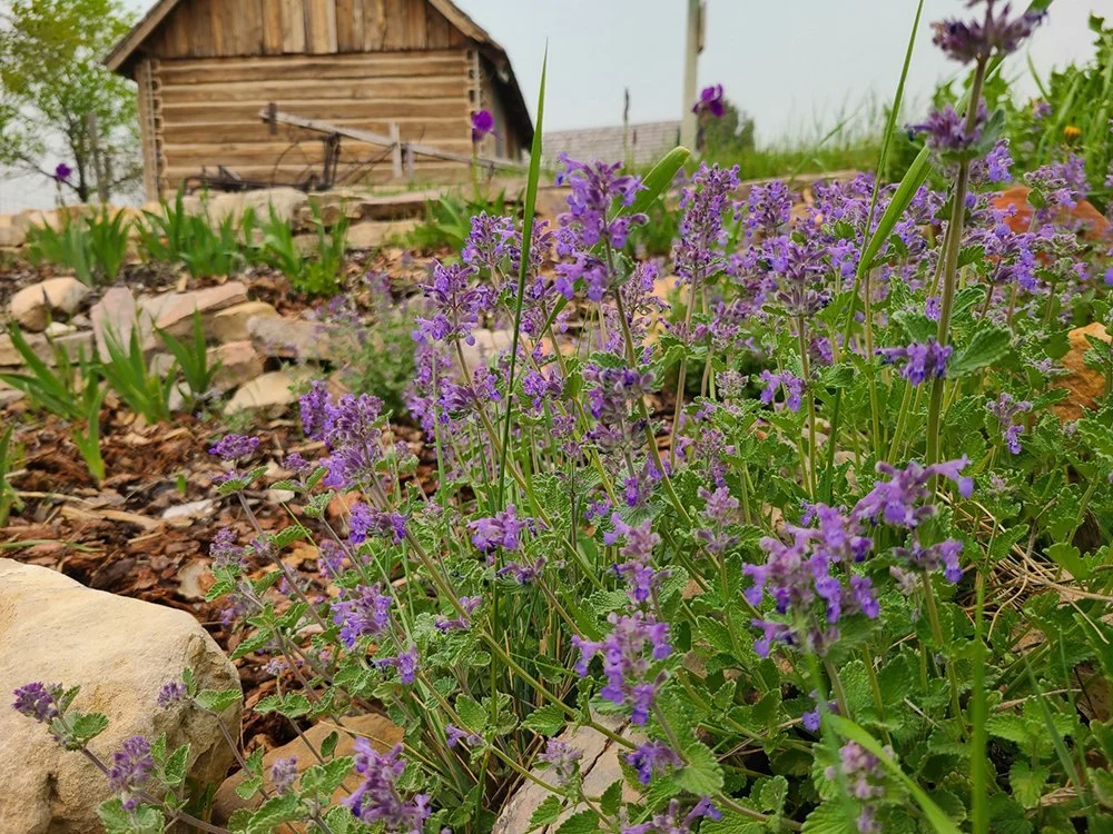 Anna Miller Museum — Weston County Museum District