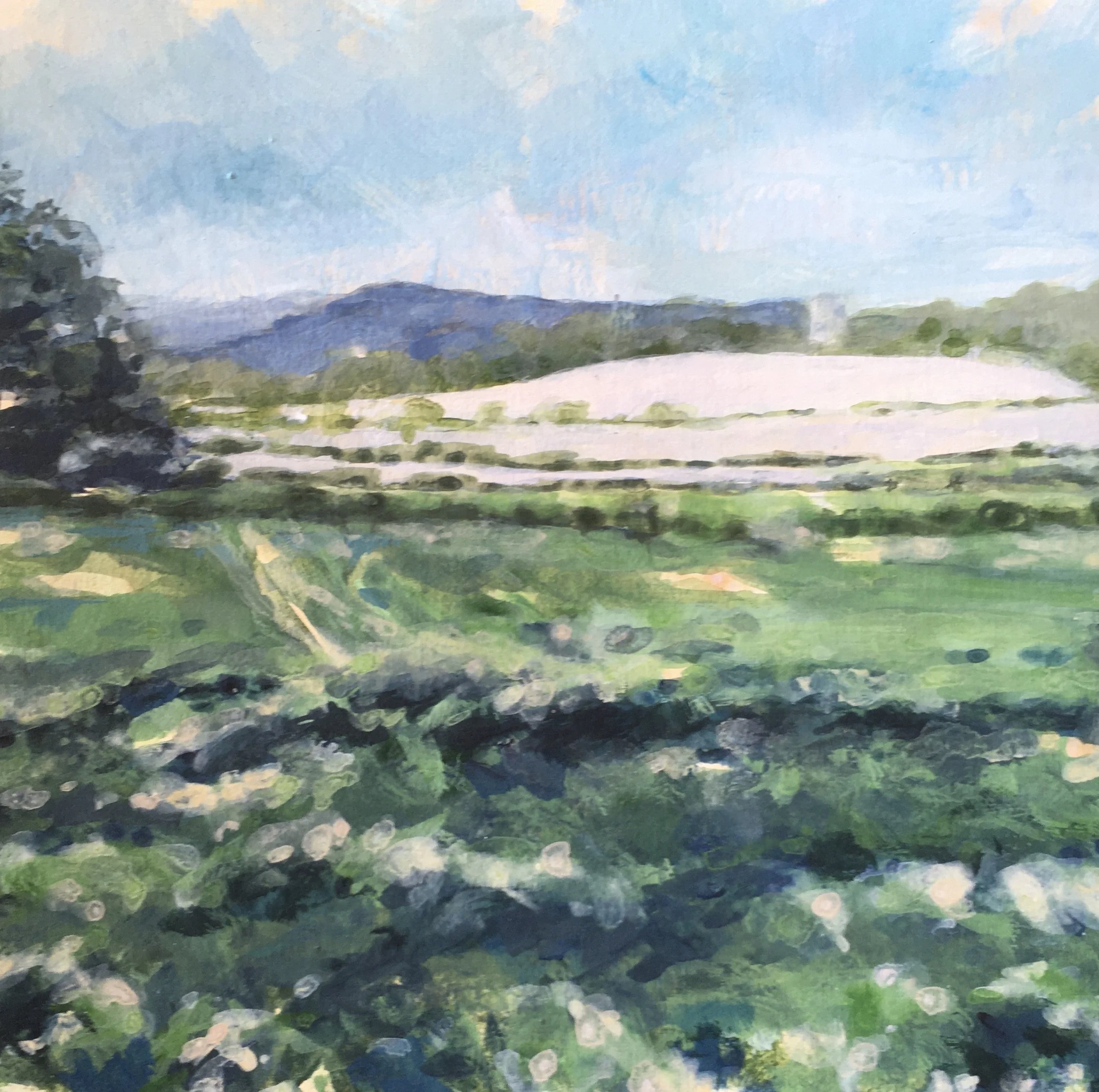 Sue Smith - Original landscape paintings of the South Downs — SFSmithArt