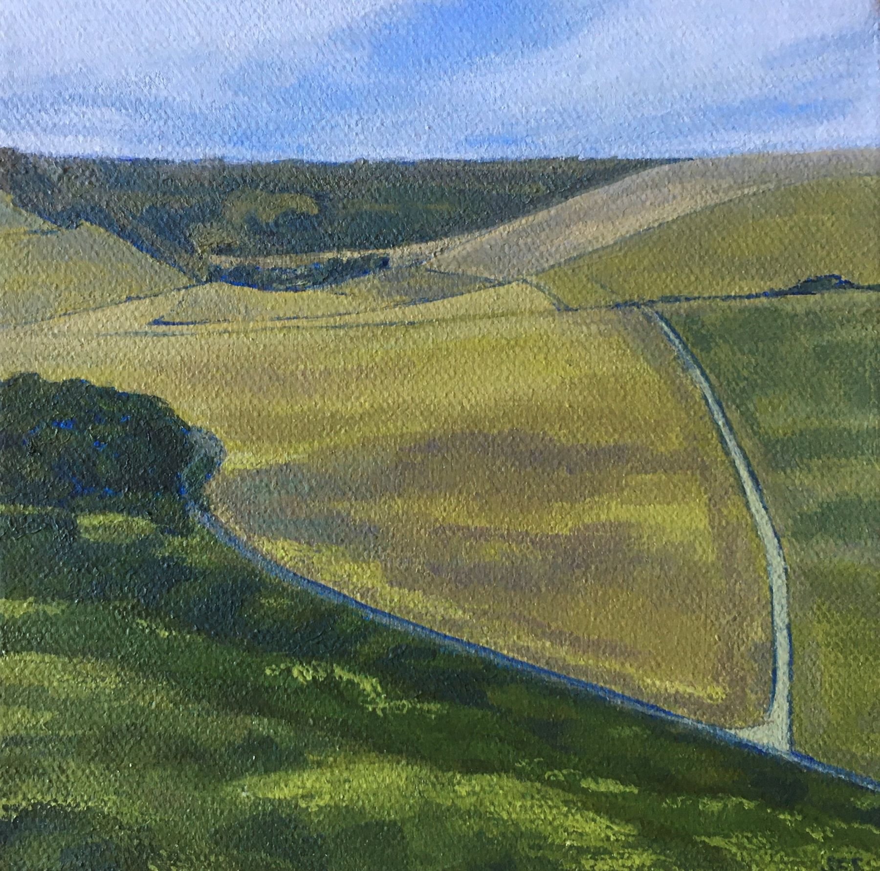 Sue Smith - Original landscape paintings of the South Downs — SFSmithArt