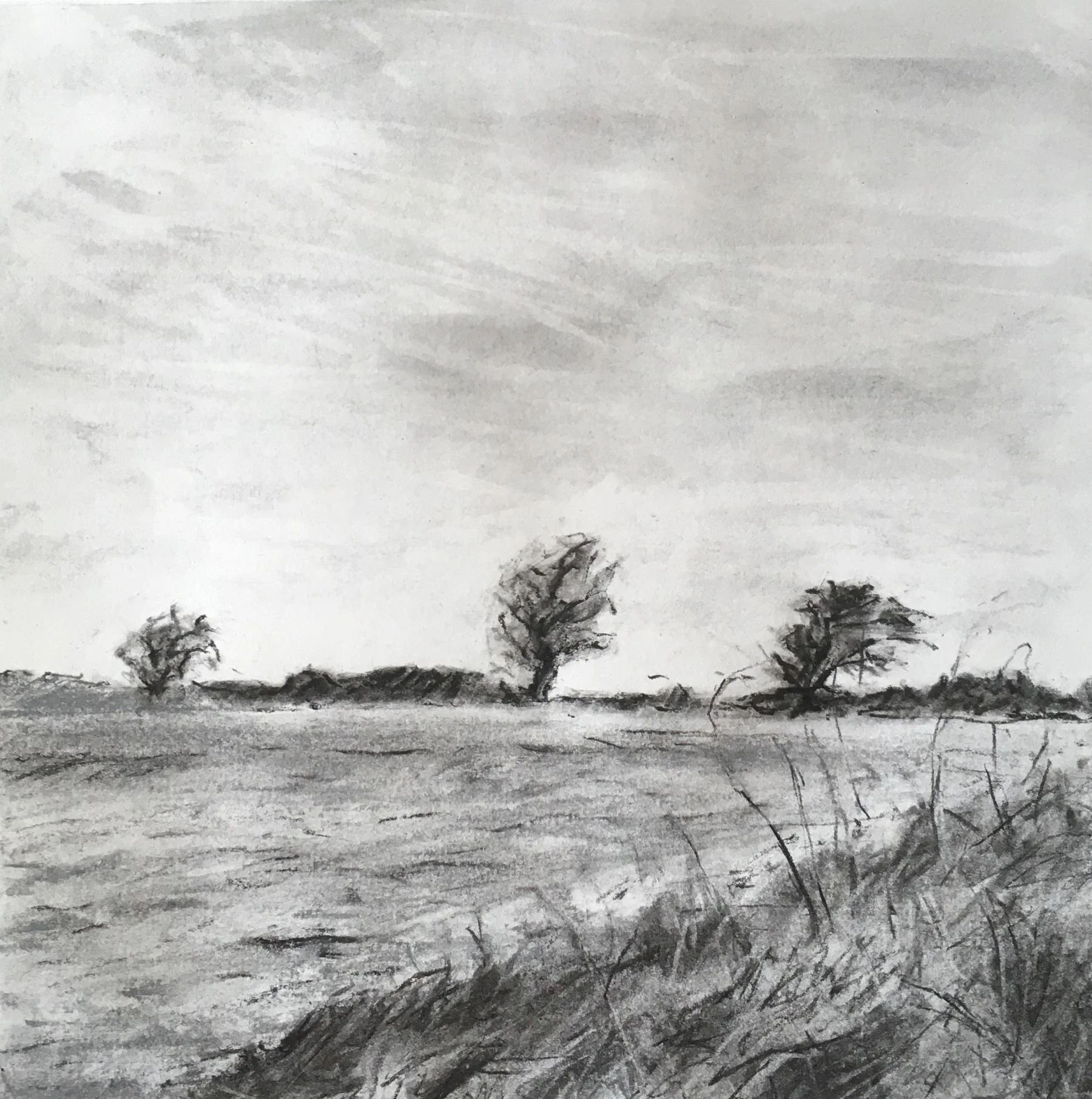 Sue Smith - Original charcoal drawings of the Sussex landscape — SFSmithArt