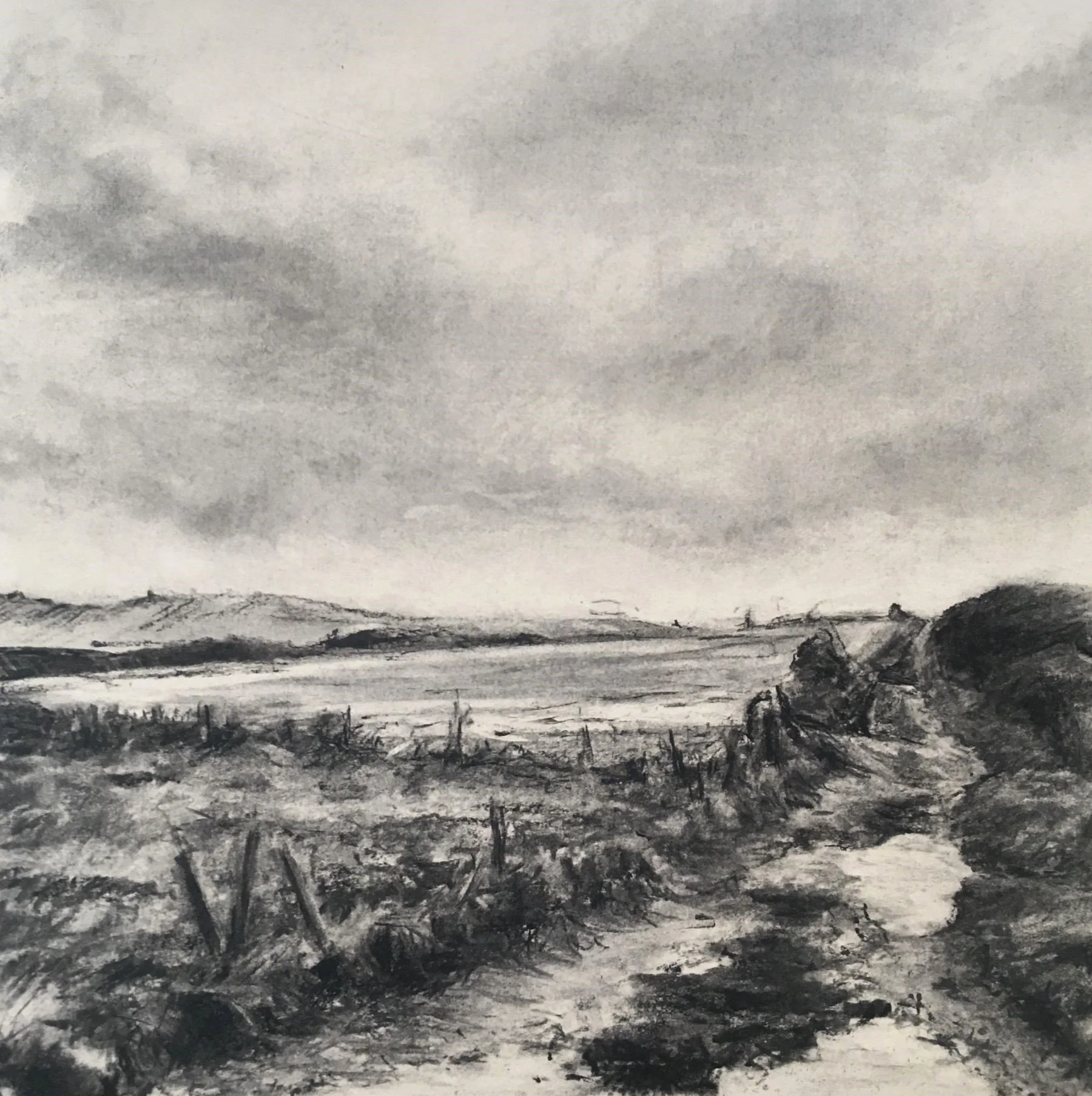 Sue Smith - Original charcoal drawings of the Sussex landscape — SFSmithArt