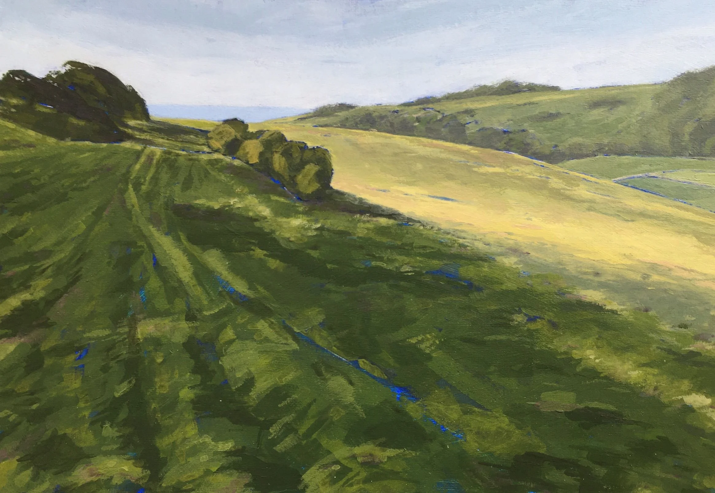 Sue Smith - Original landscape paintings of the South Downs — SFSmithArt