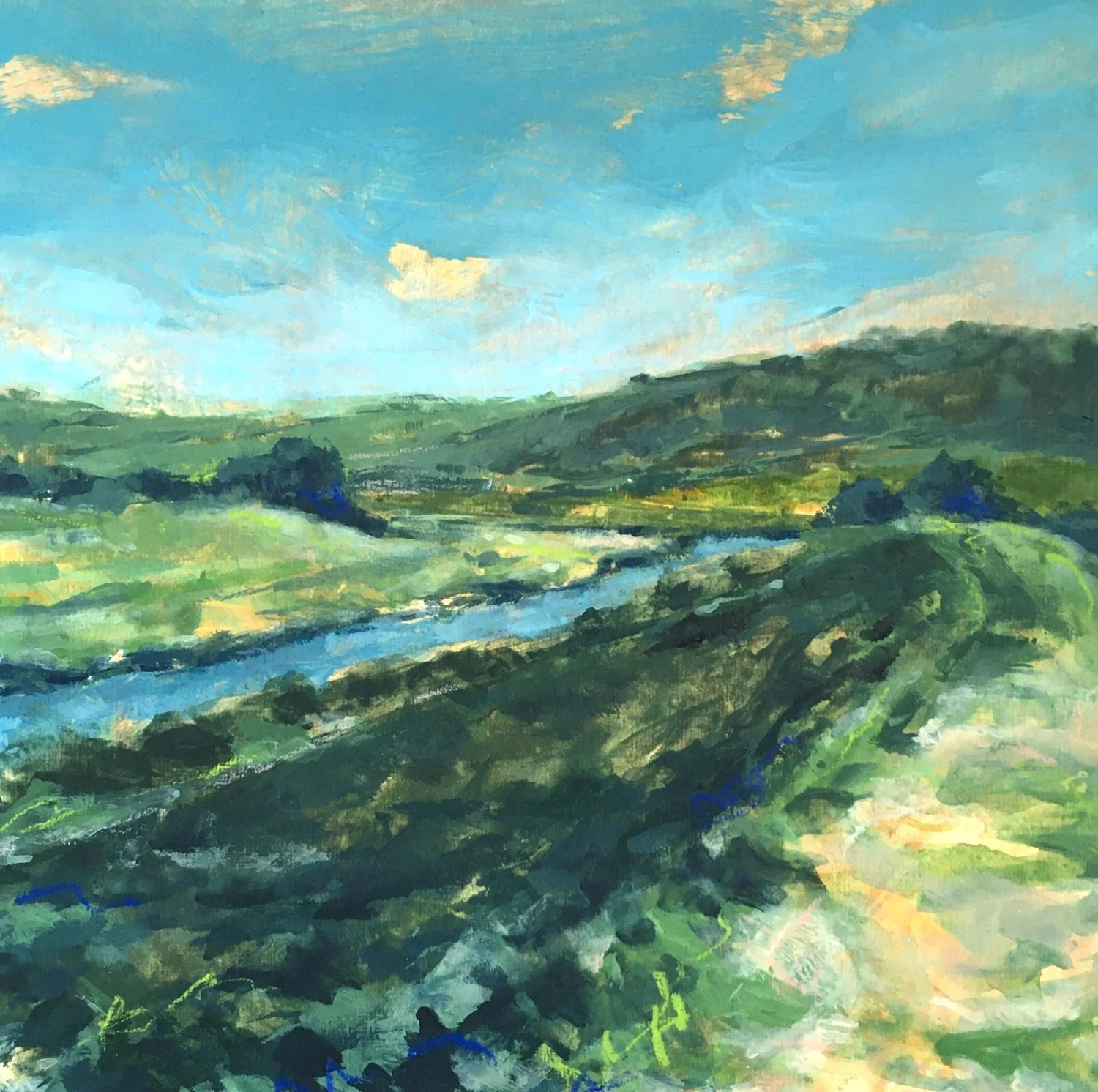 Sue Smith - Original landscape paintings of the South Downs — SFSmithArt