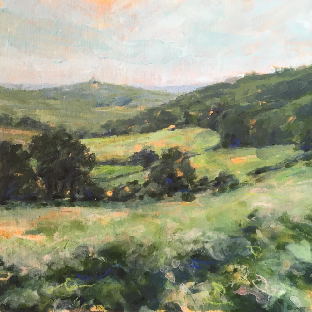 Sue Smith - Original landscape paintings of the South Downs — SFSmithArt