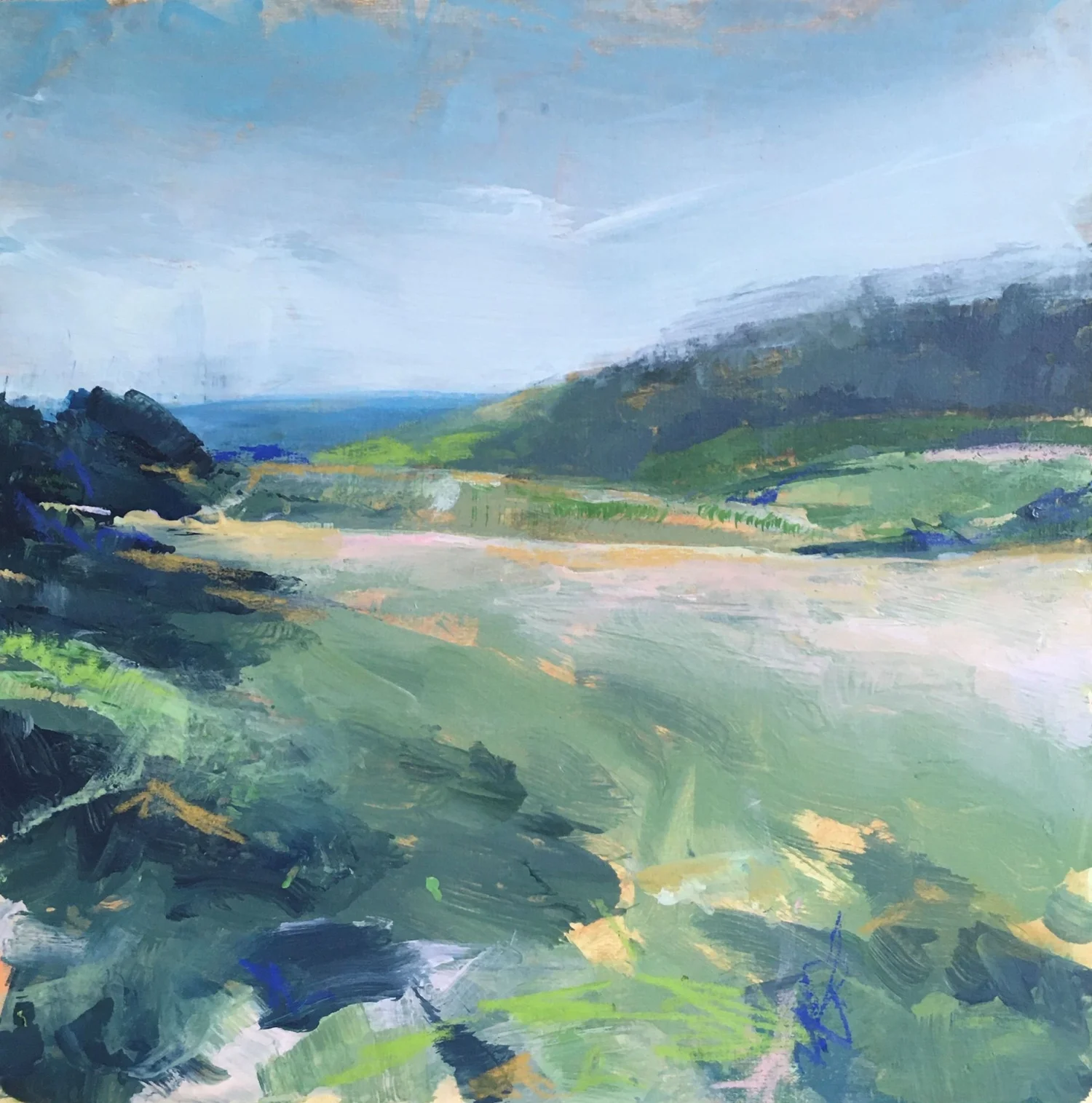 Sue Smith - Original landscape paintings of the South Downs — SFSmithArt