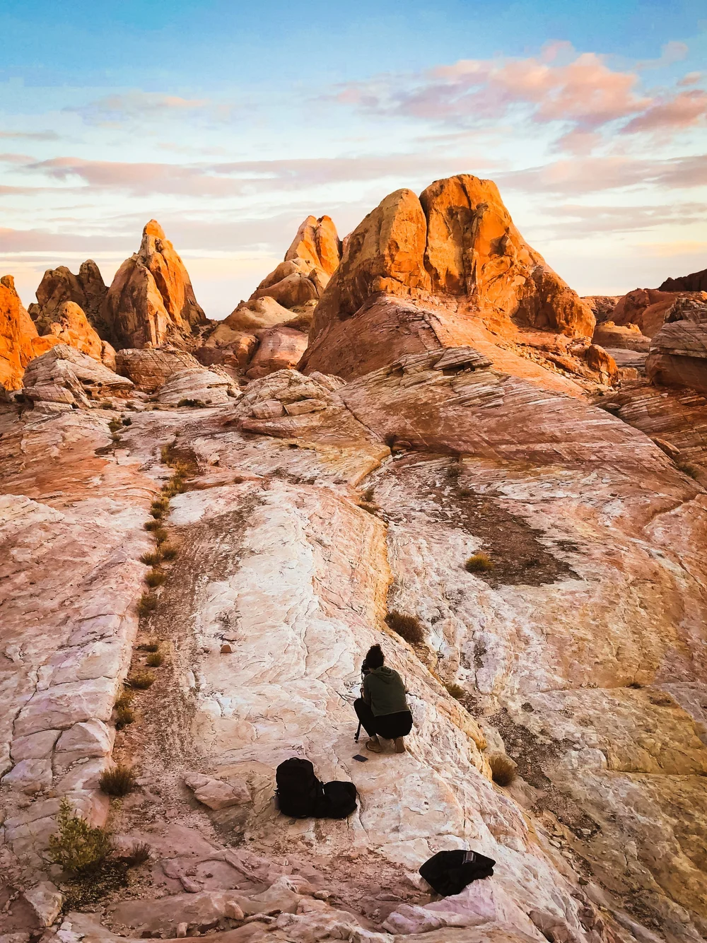 The Art and Business of Photography — Learning Photography with Bessie ...