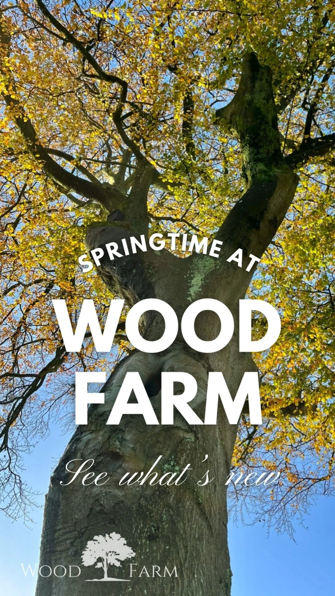 Wood Farm Bramdean, Hampshire