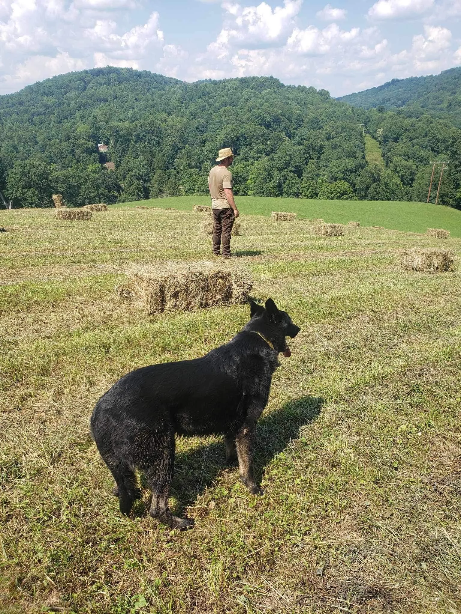 About | Veteran & Family Owned — Graystone Acres