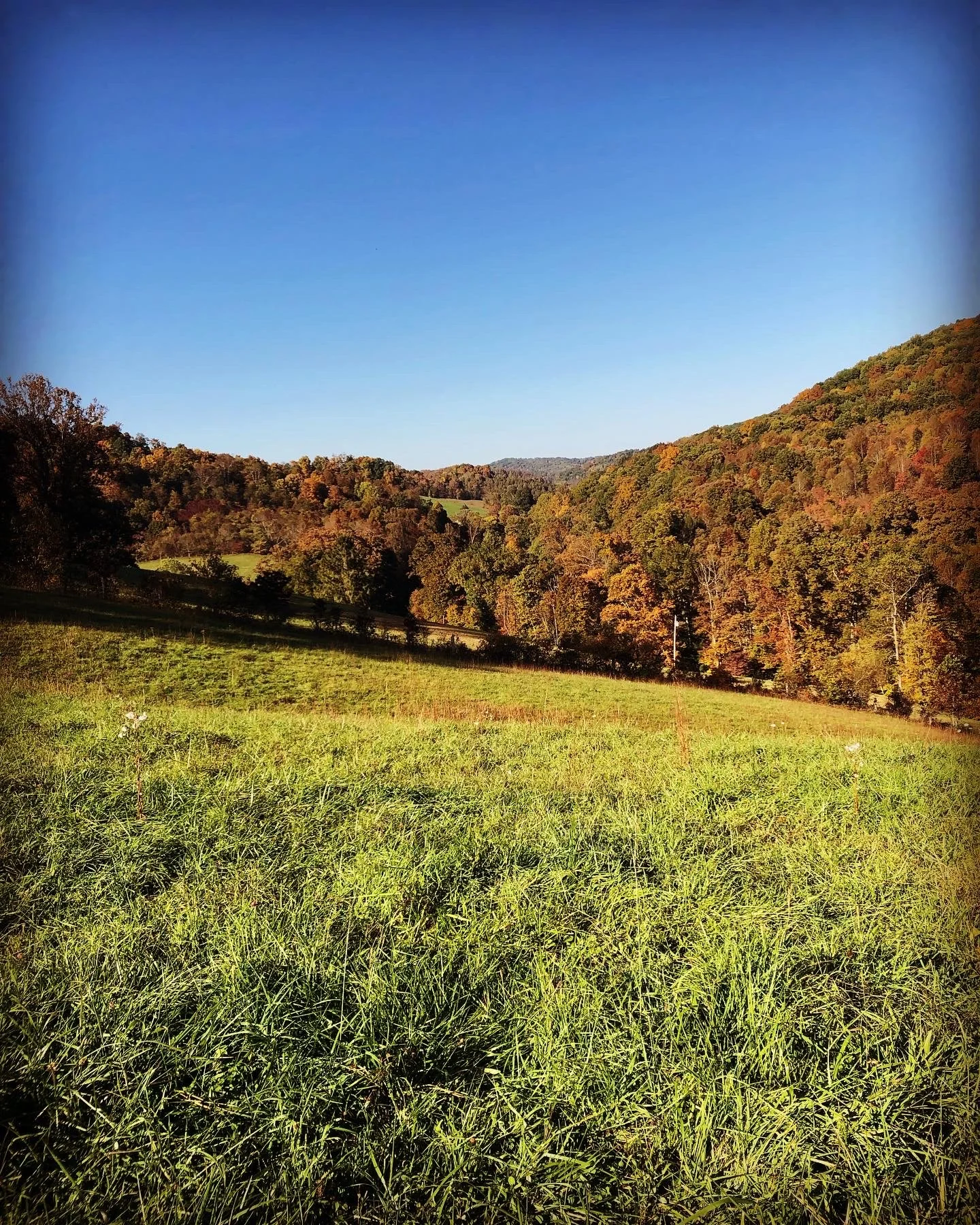 FAQs — Graystone Acres