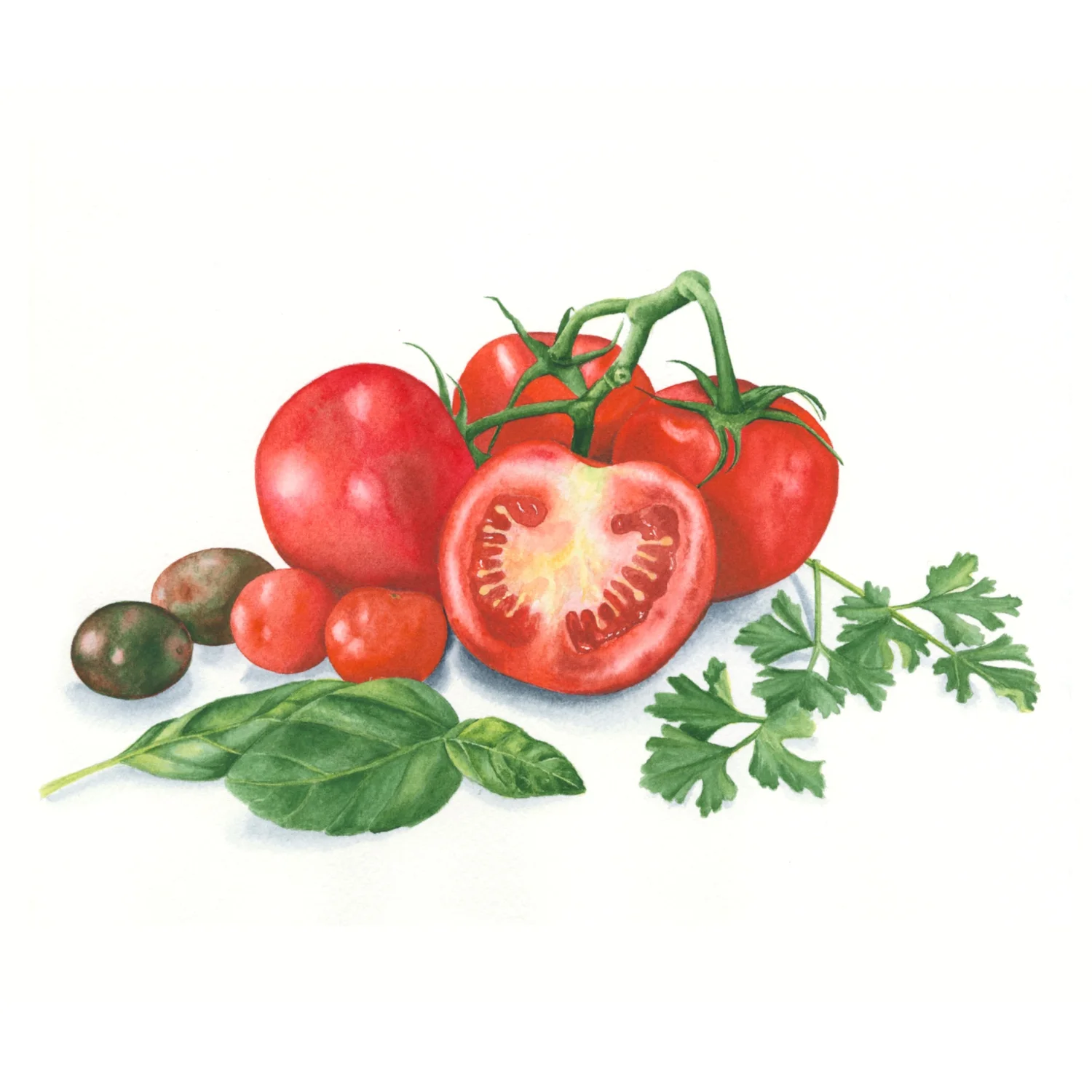 Paintings — Amy Jamison Fine Art