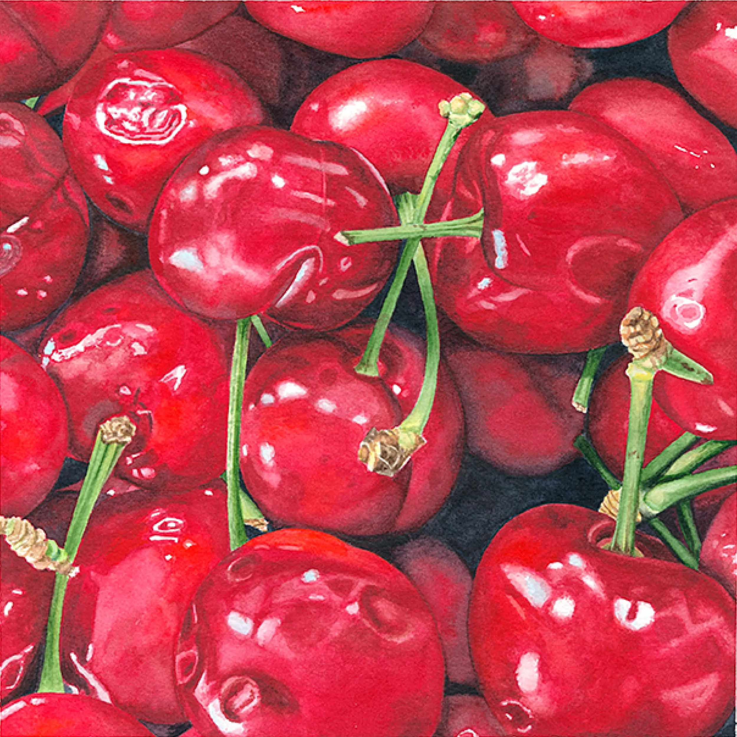 Paintings — Amy Jamison Fine Art