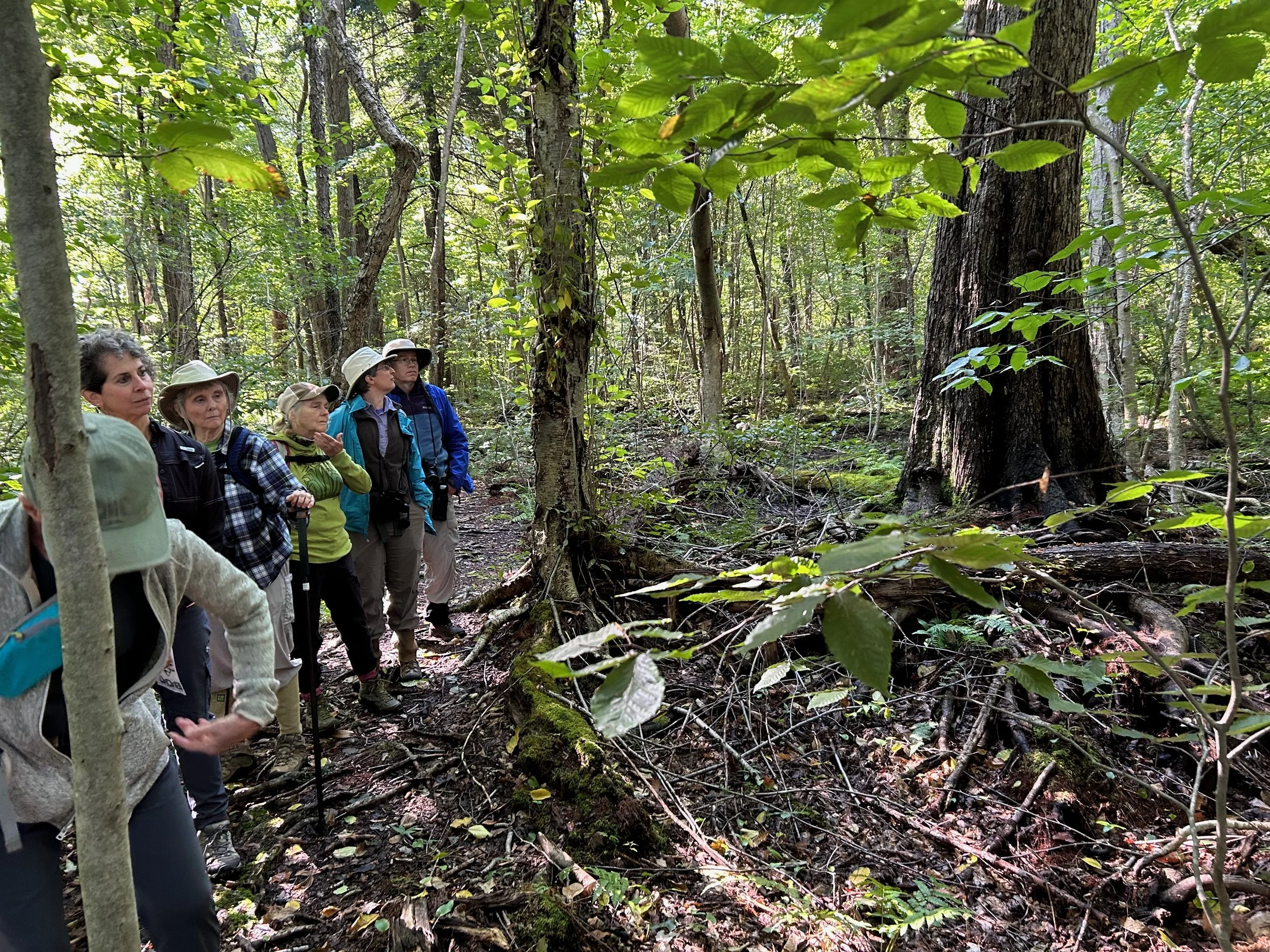 Burroughs Audubon Nature Club