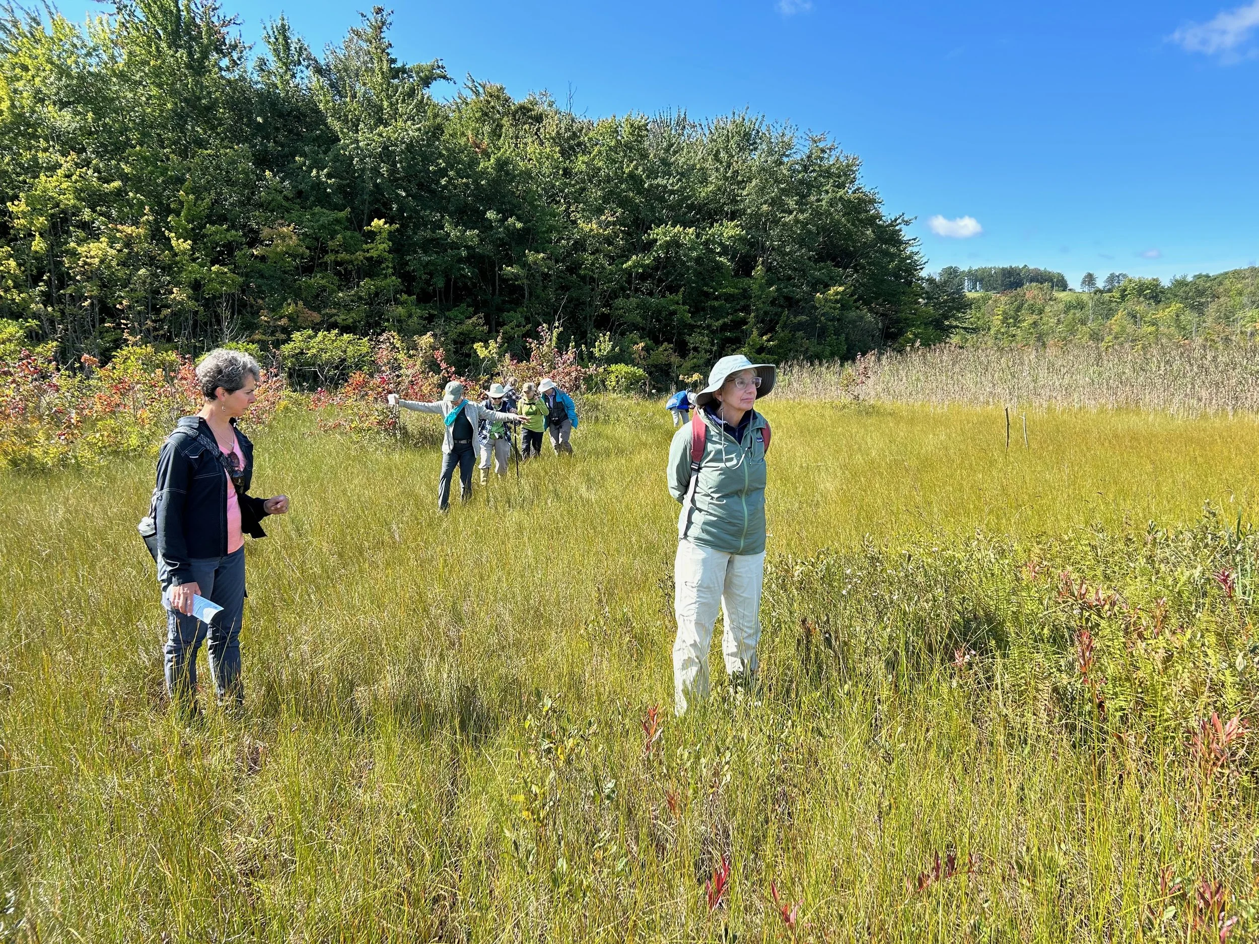 About — Burroughs Audubon Nature Club