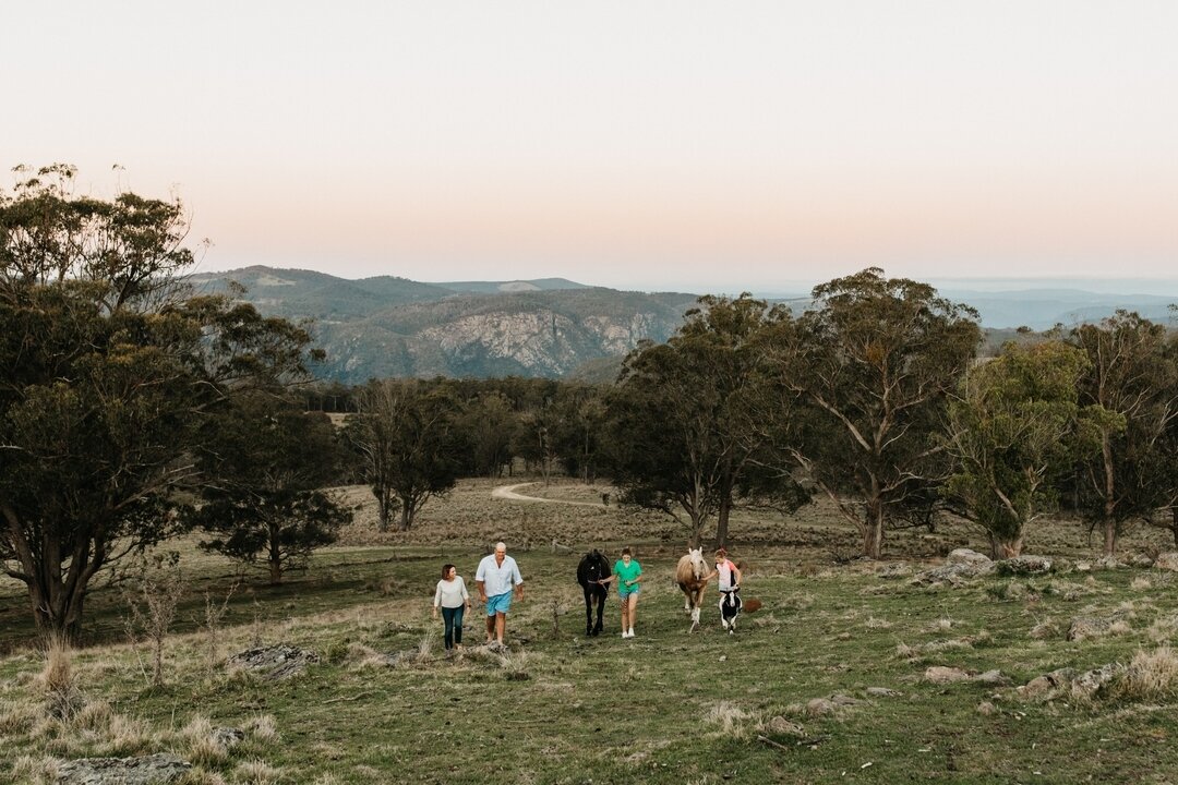 Portfolio — Pip Williams