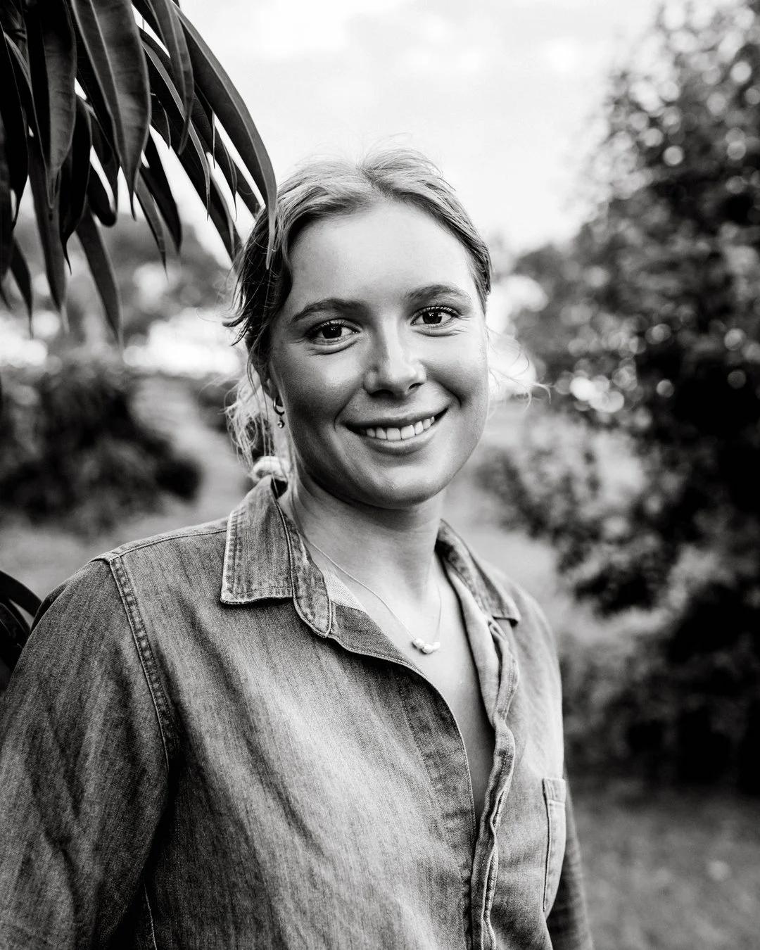 Portfolio — Pip Williams