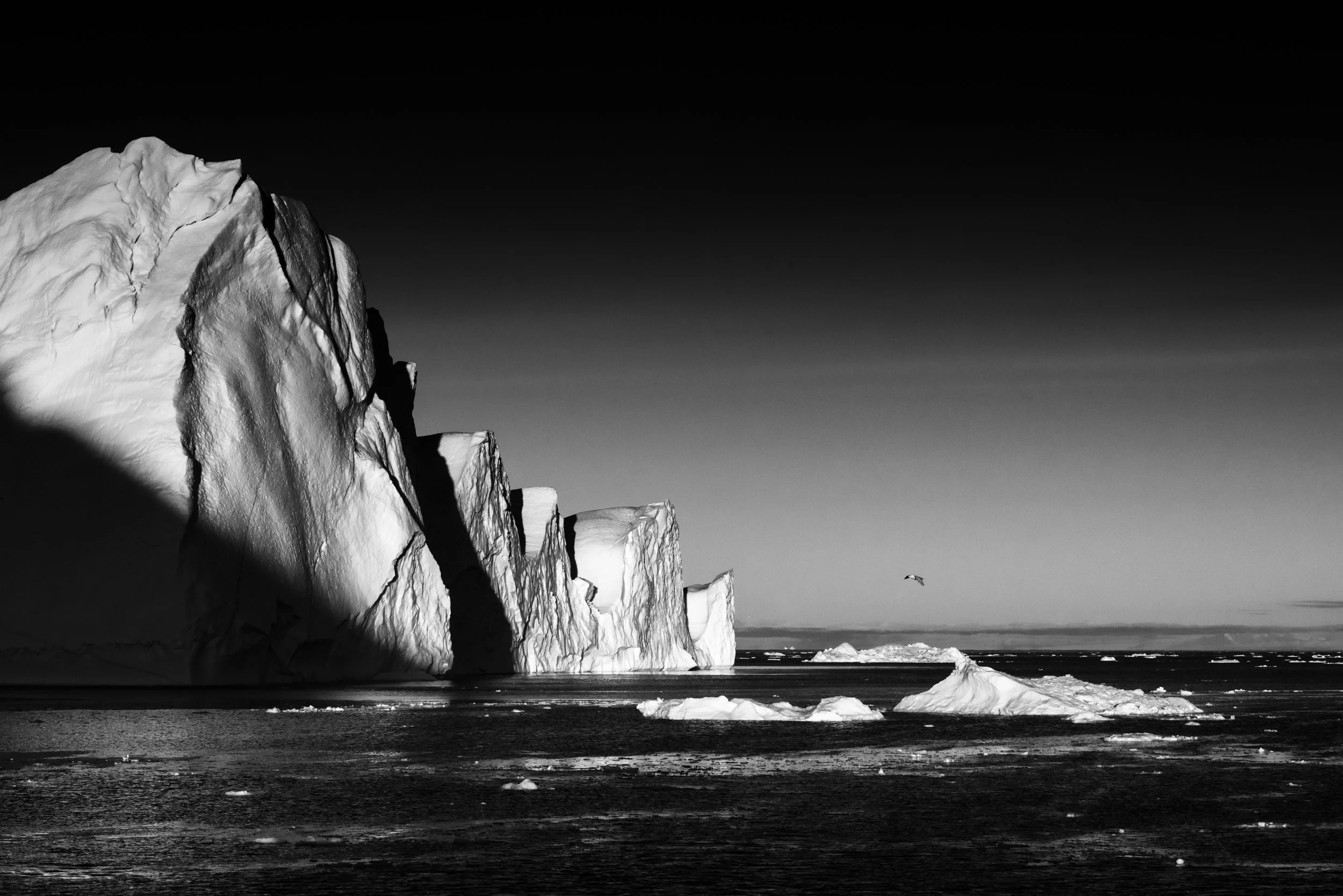 Lee Nordbye Portfolio — Lee Nordbye Photography