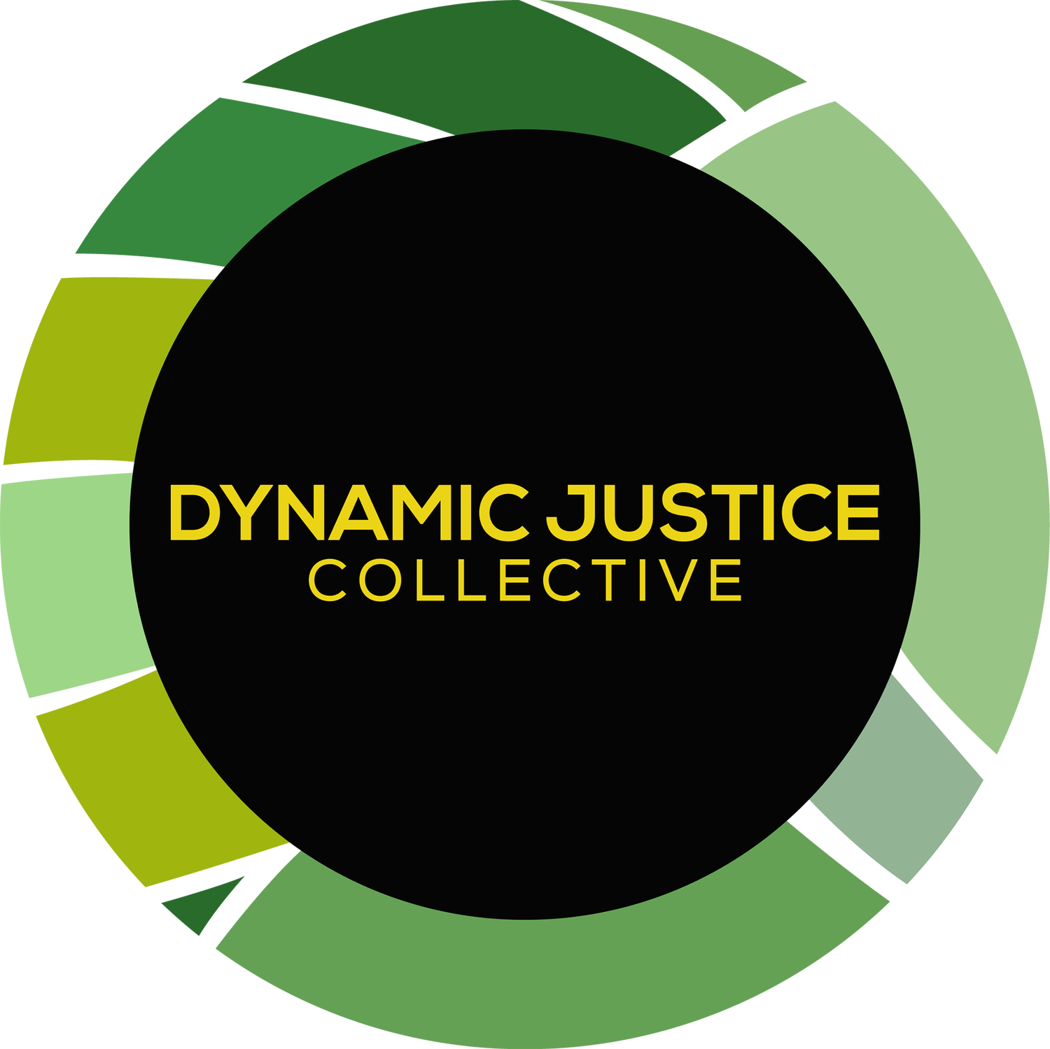 Dynamic Justice Collective