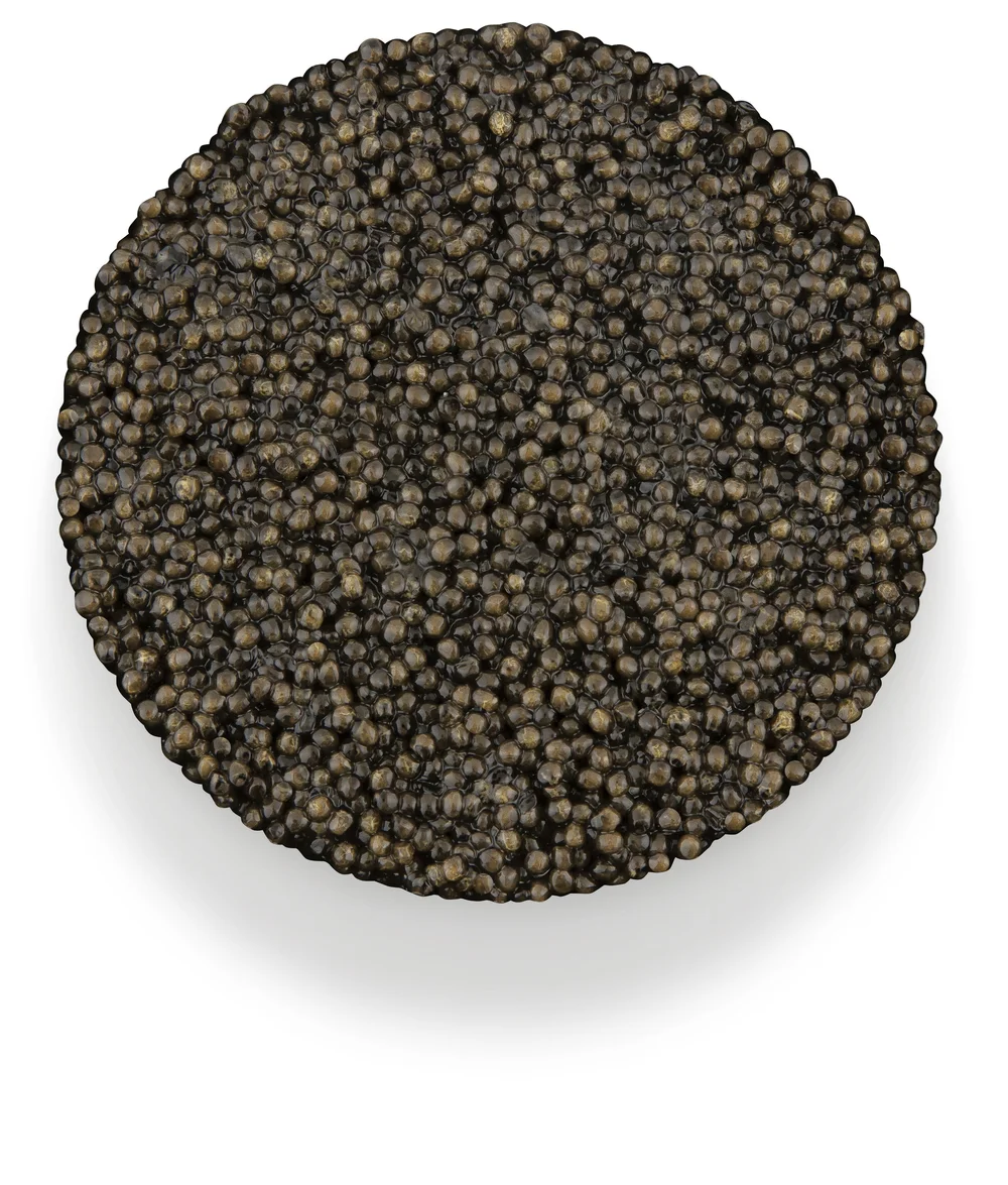 Caviar d'Eden