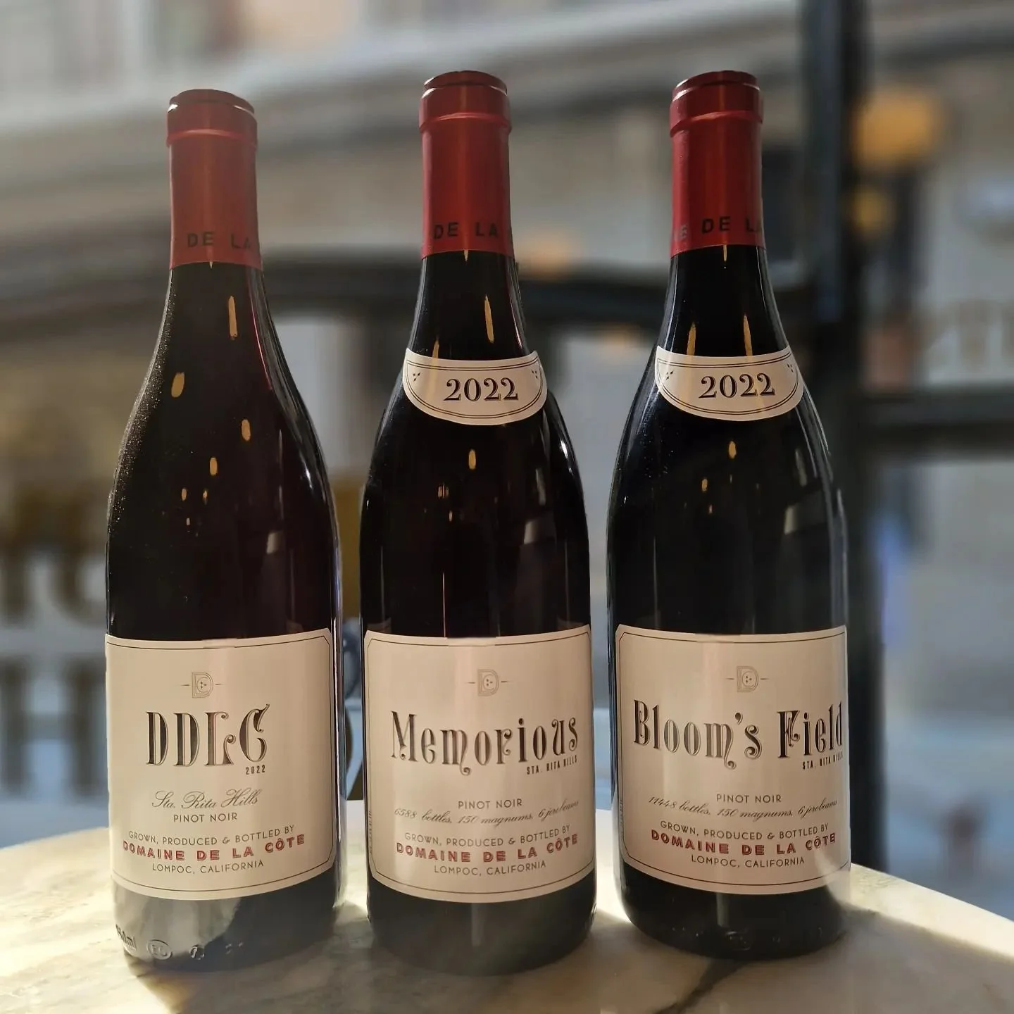 Baby Bacchus | London Wine Bar, Bottle Shop & Tasting Space