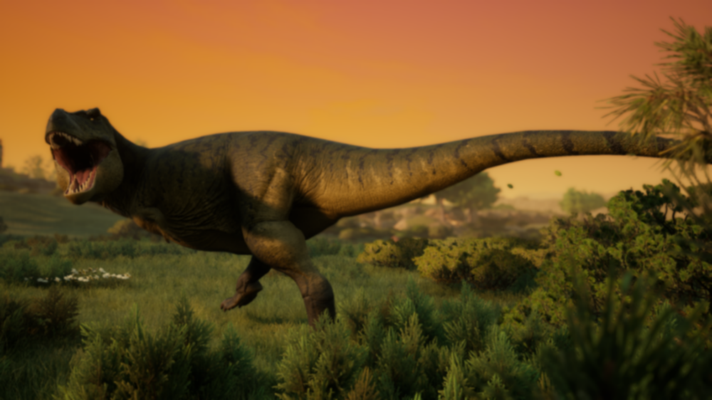 Carnivore profiles — The Obsidian Jungle