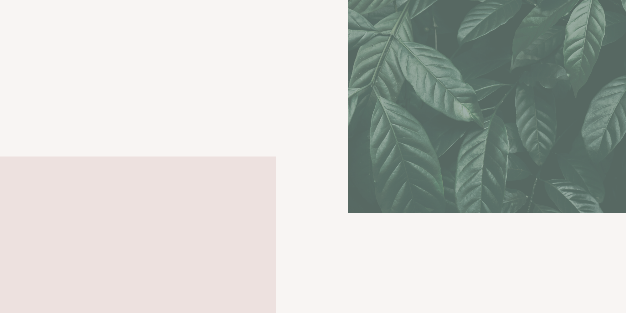 Contact Order & Co. — Order & Co. | Professional Organizing & Staging